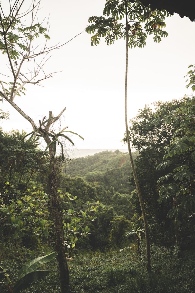 Costa Rica Photos, Download The BEST Free Costa Rica Stock Photos & HD ...