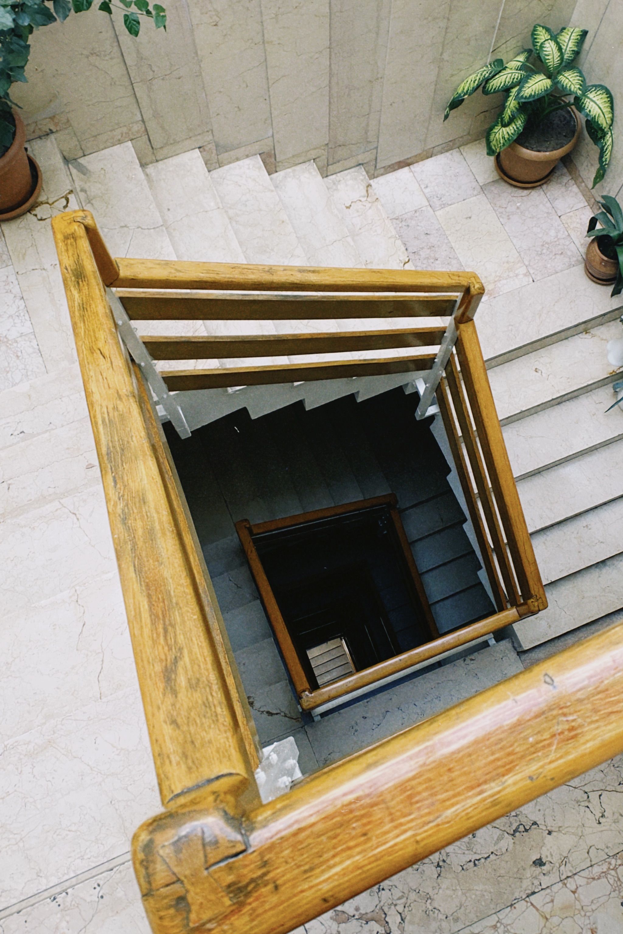 Wooden Handrail on Stairs with Plants in Corners · Free Stock Photo