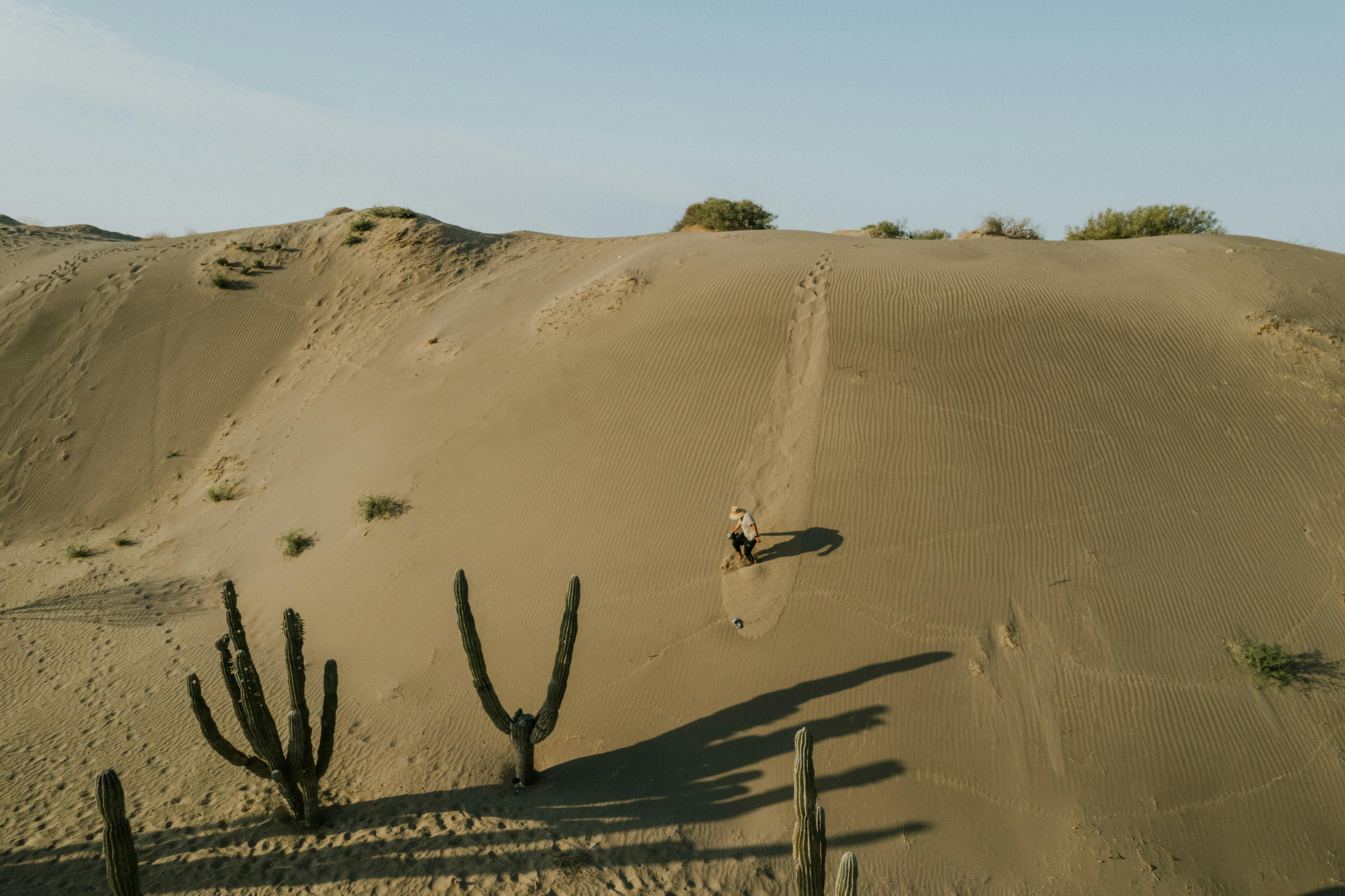 Dune Castles Photos, Download The BEST Free Dune Castles Stock Photos ...