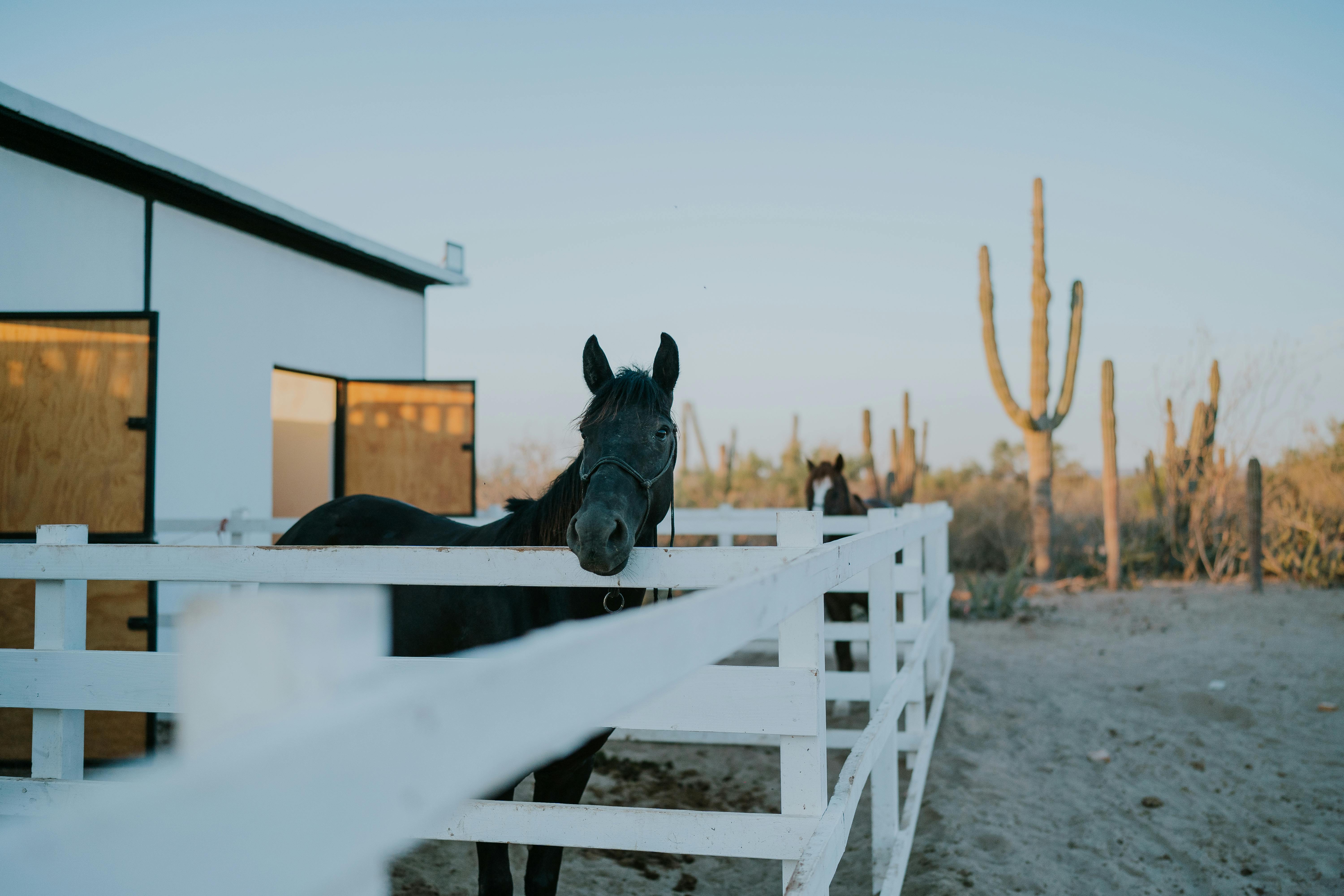 Western Ranch Photos, Download The BEST Free Western Ranch Stock Photos ...