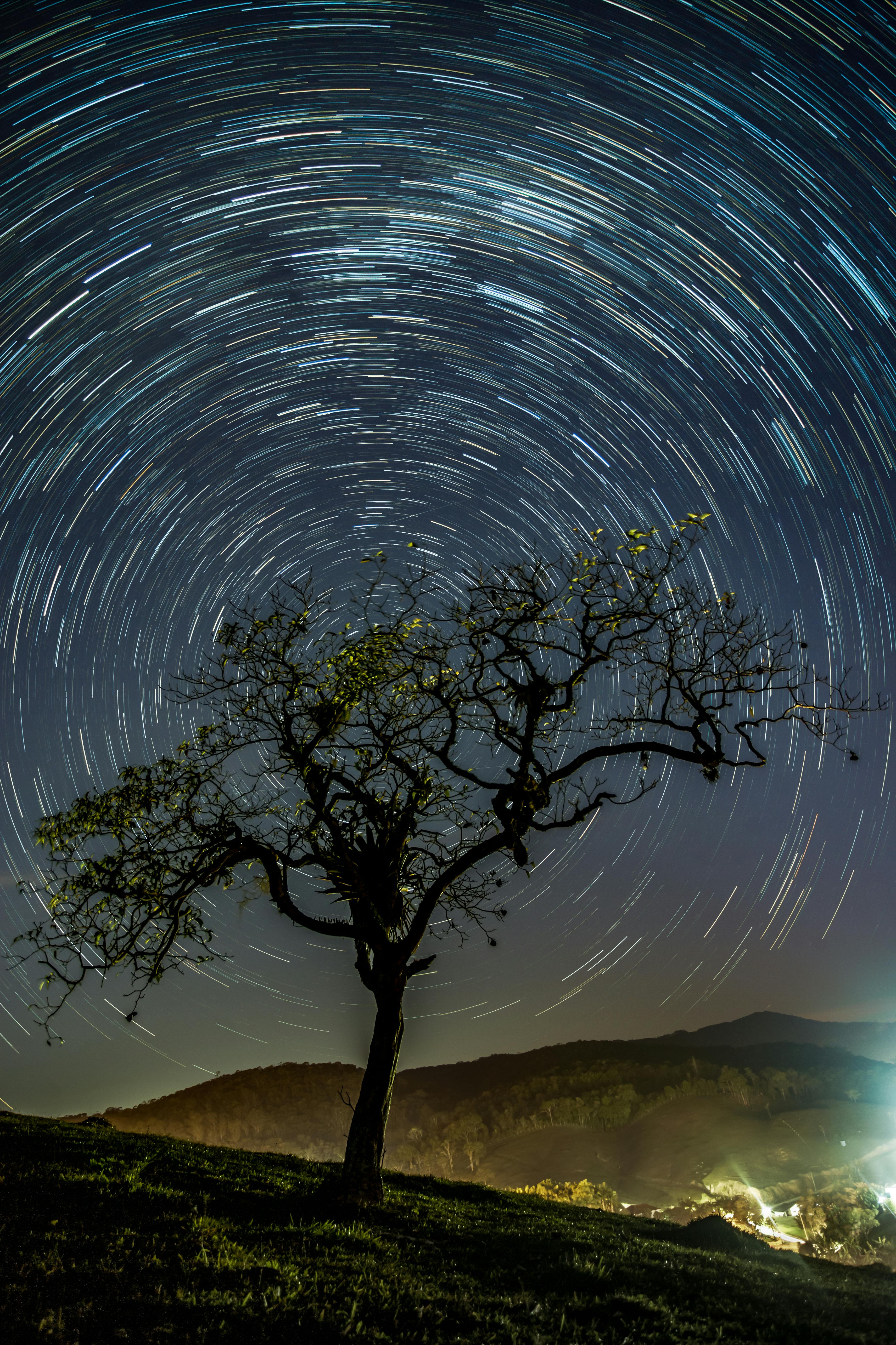 Axis Photos, Download The BEST Free Axis Stock Photos & HD Images