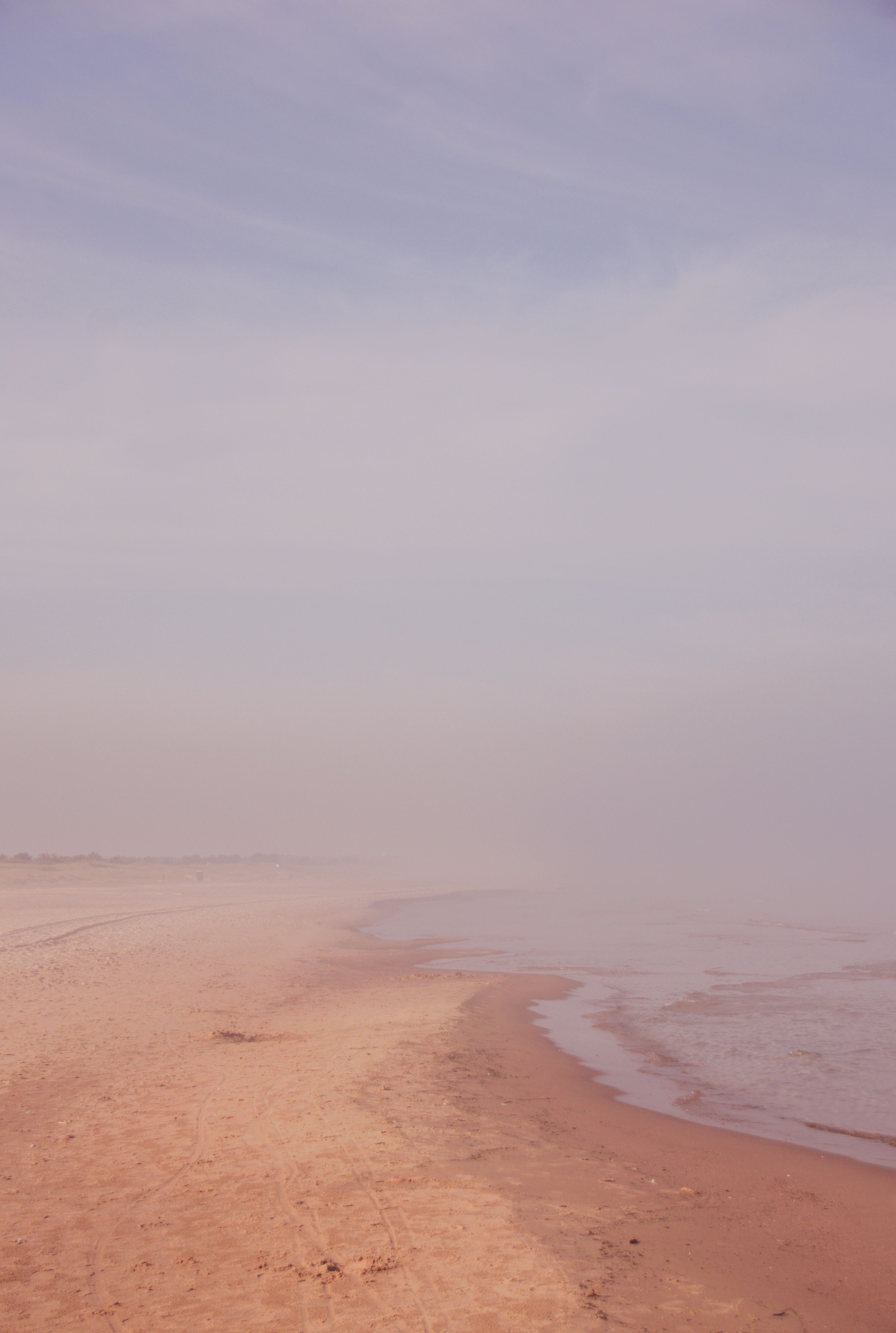 Fog over Beach · Free Stock Photo