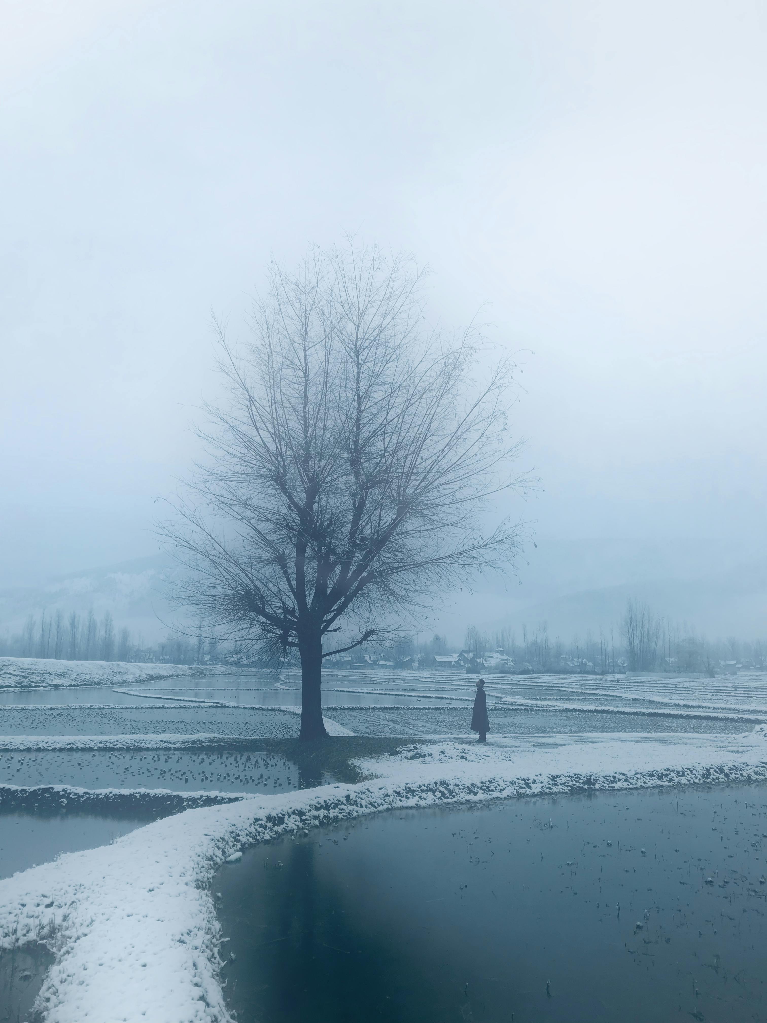 Ponds Photos, Download The BEST Free Ponds Stock Photos & HD Images