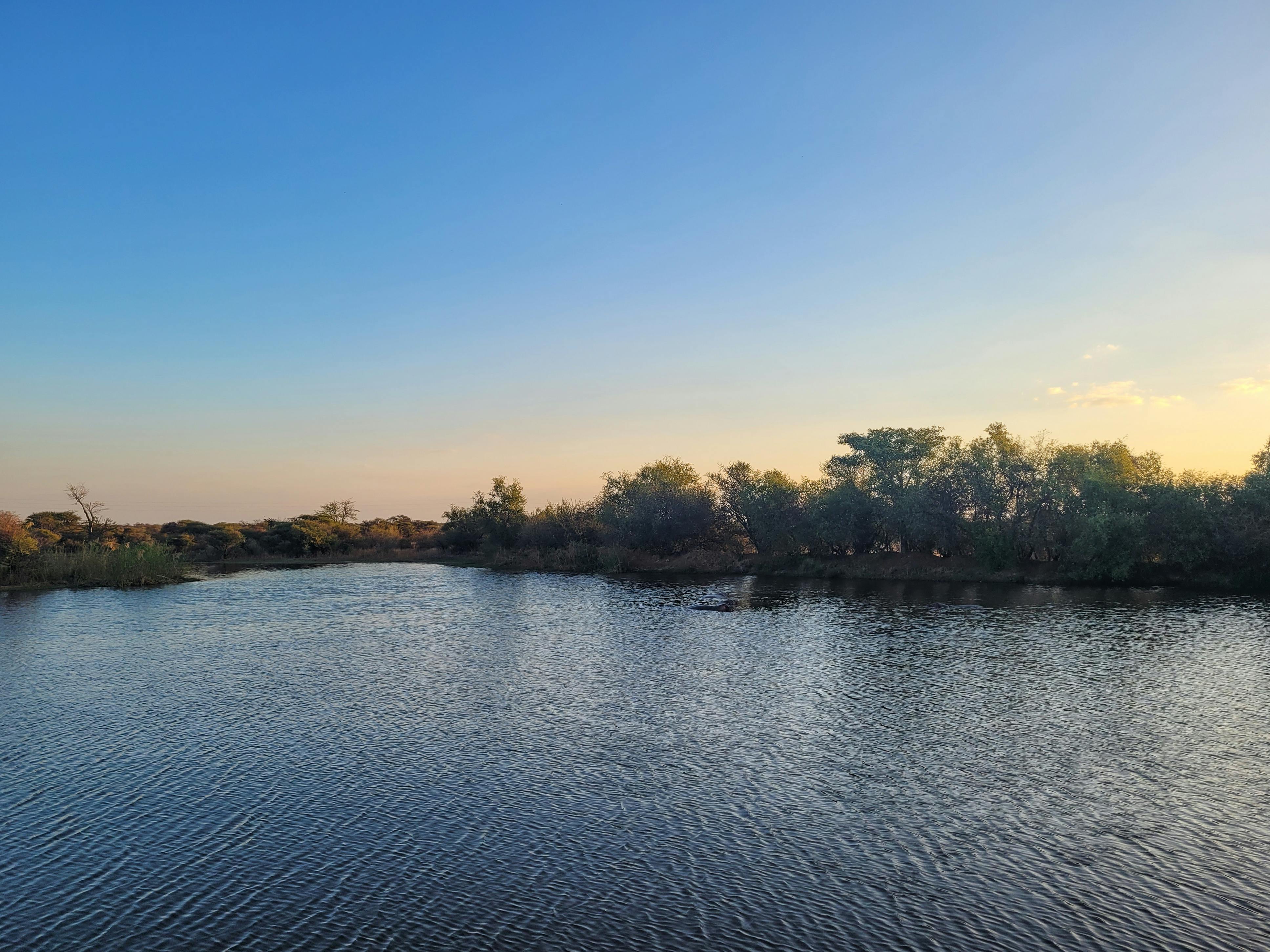 Flowes Photos, Download The BEST Free Flowes Stock Photos & HD Images