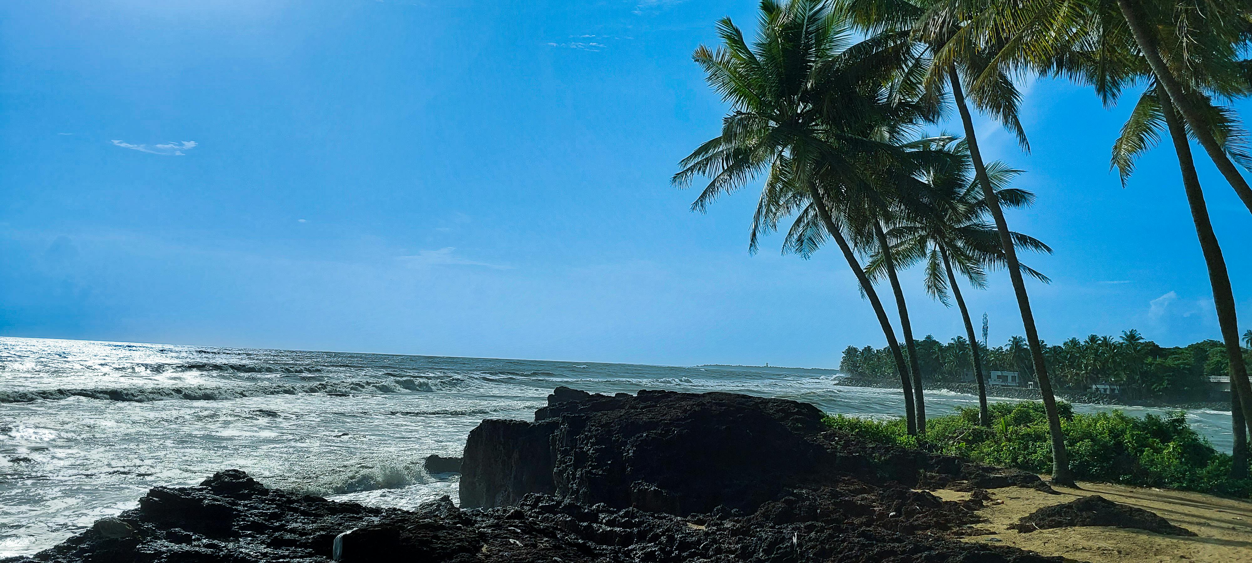 Noble Mathew - 摄影