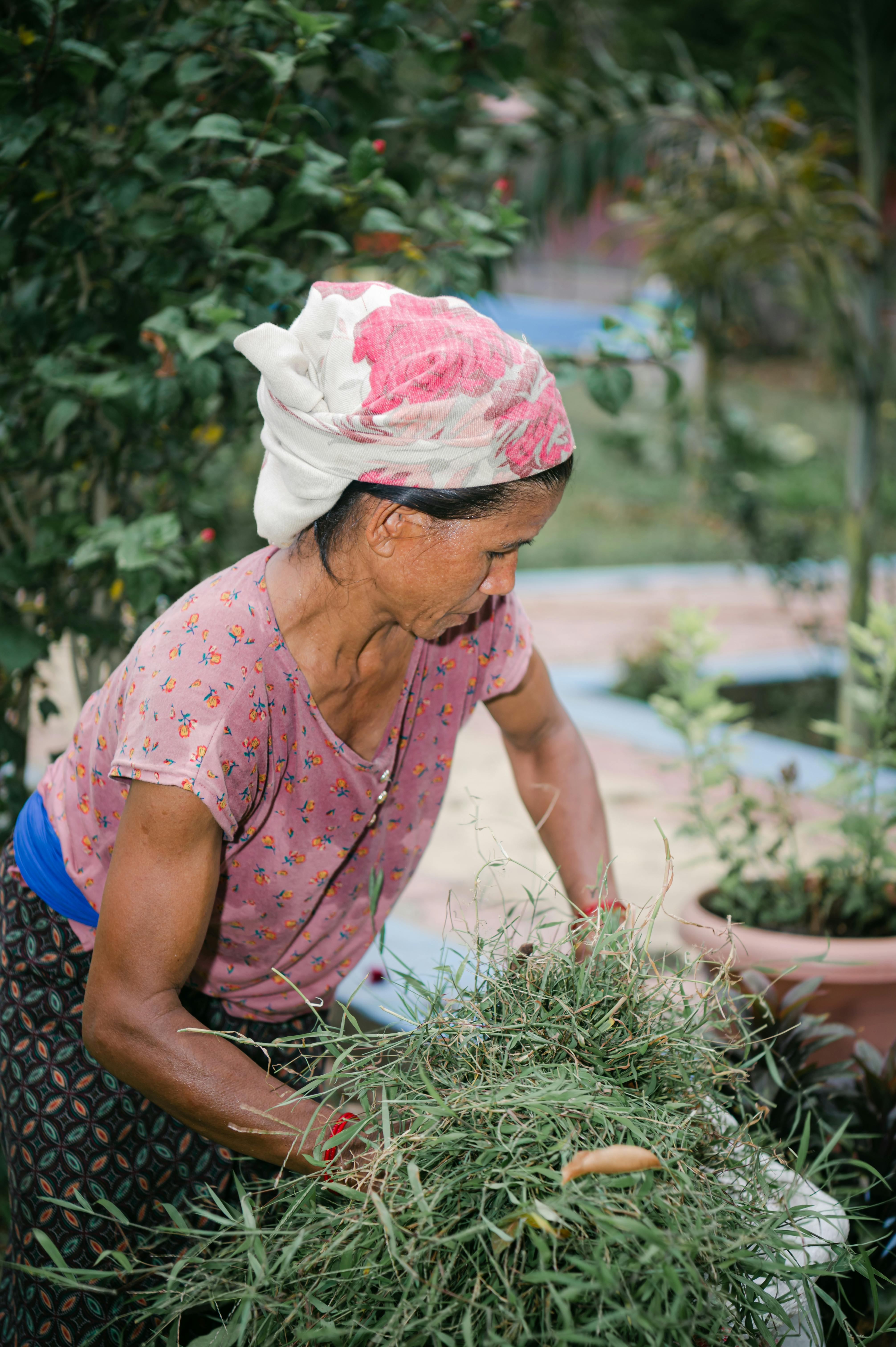 Woman in Shawl Working at Park · Free Stock Photo
