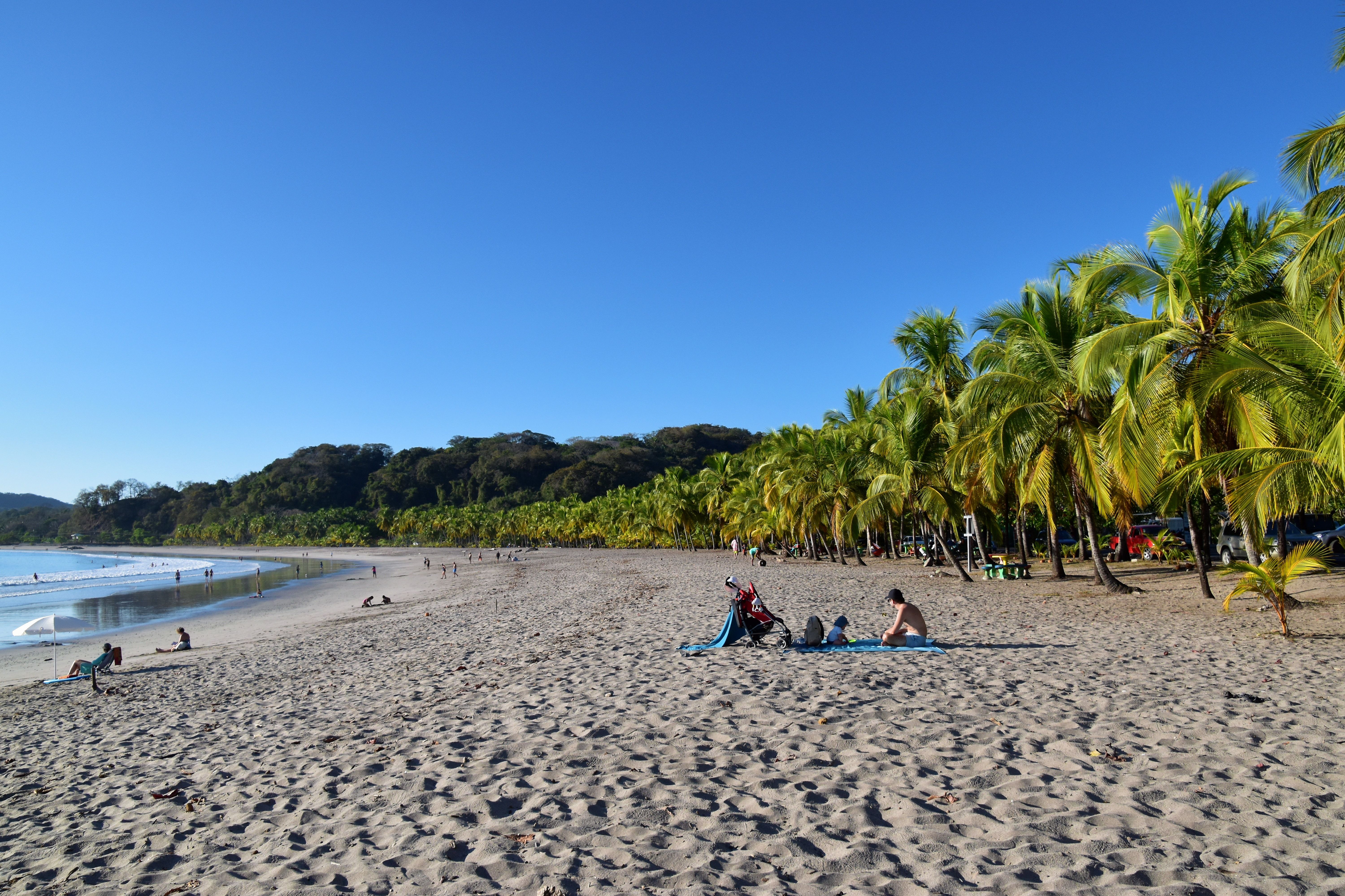Group of People on a Tropical Beach · Free Stock Photo
