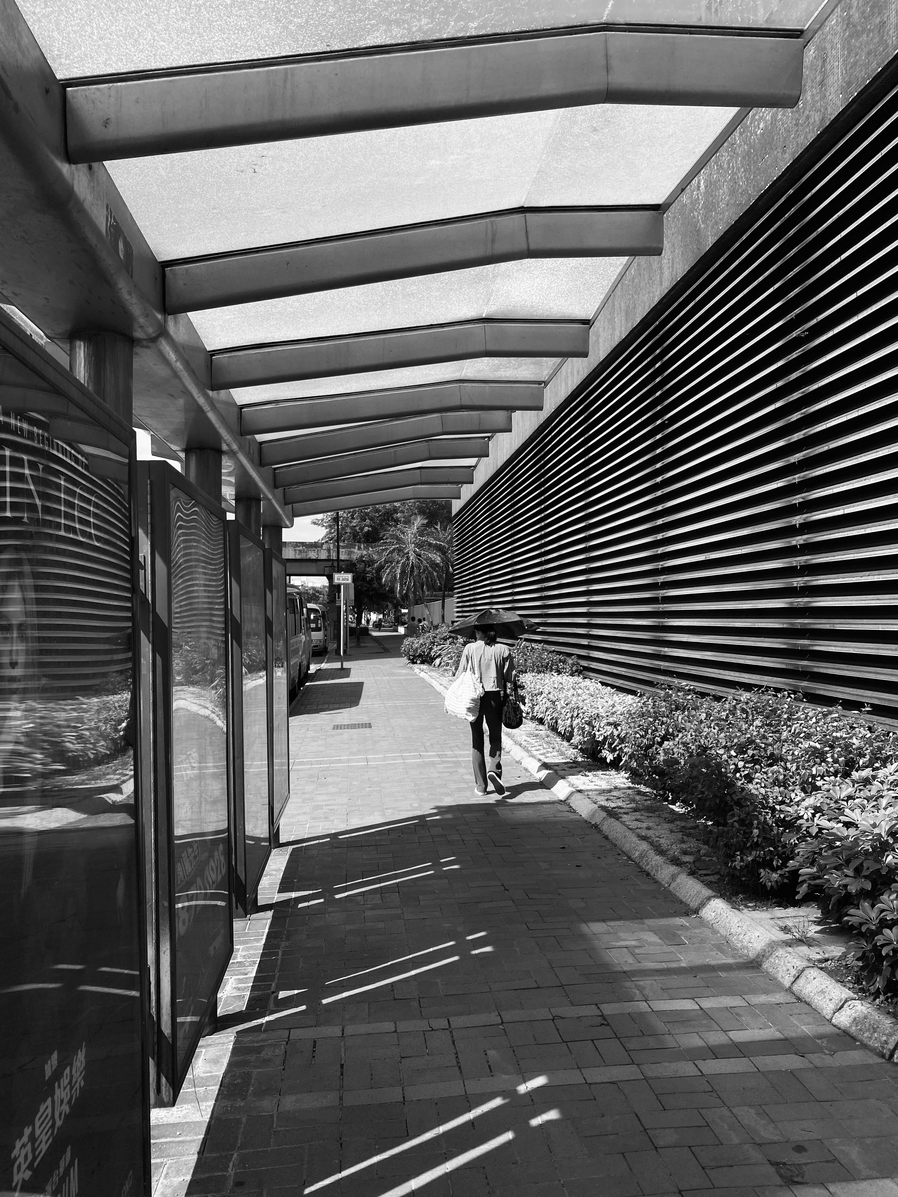 Braga City Walk Photos, Download The BEST Free Braga City Walk Stock ...