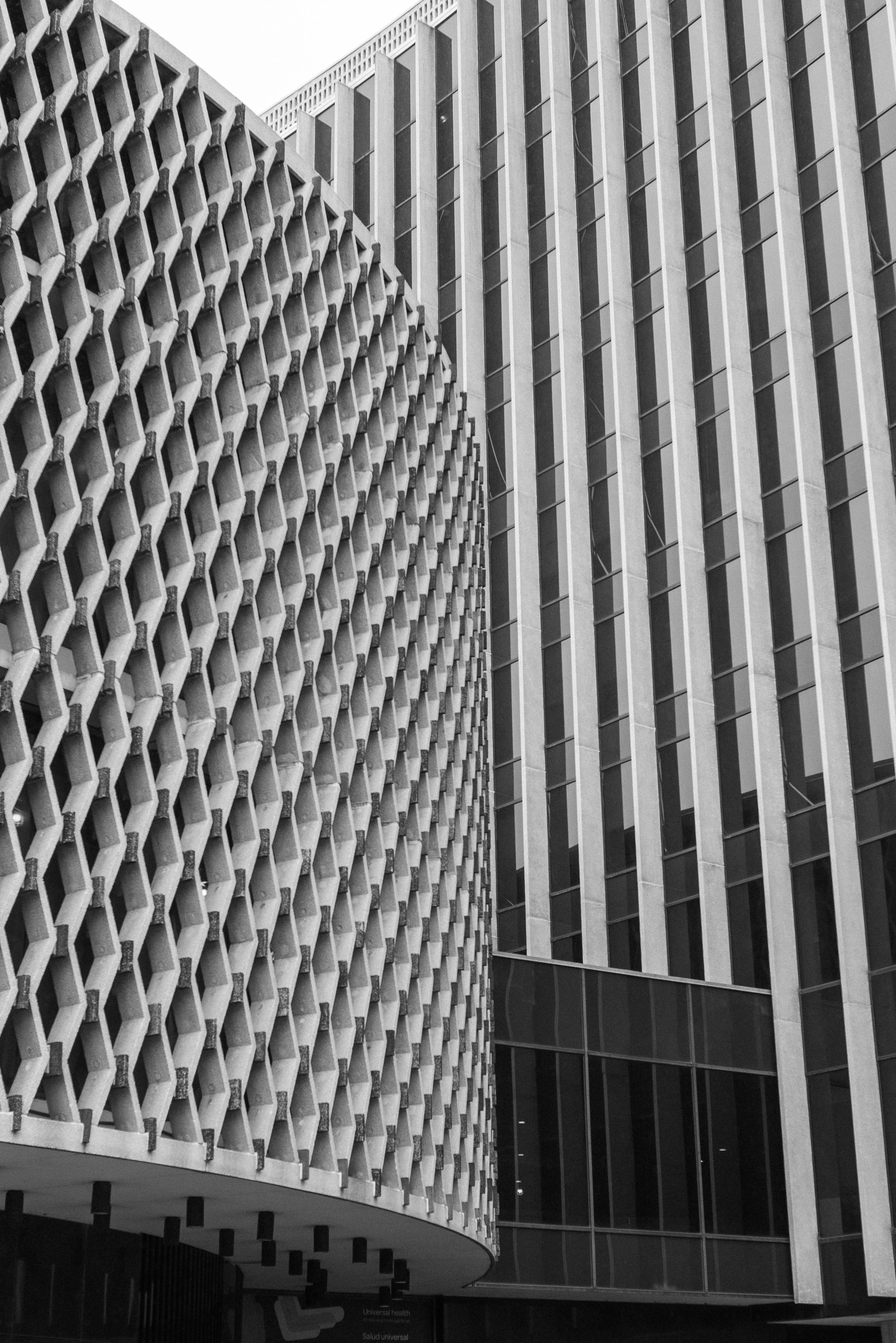 Architecture in the Wild · Free Stock Photo