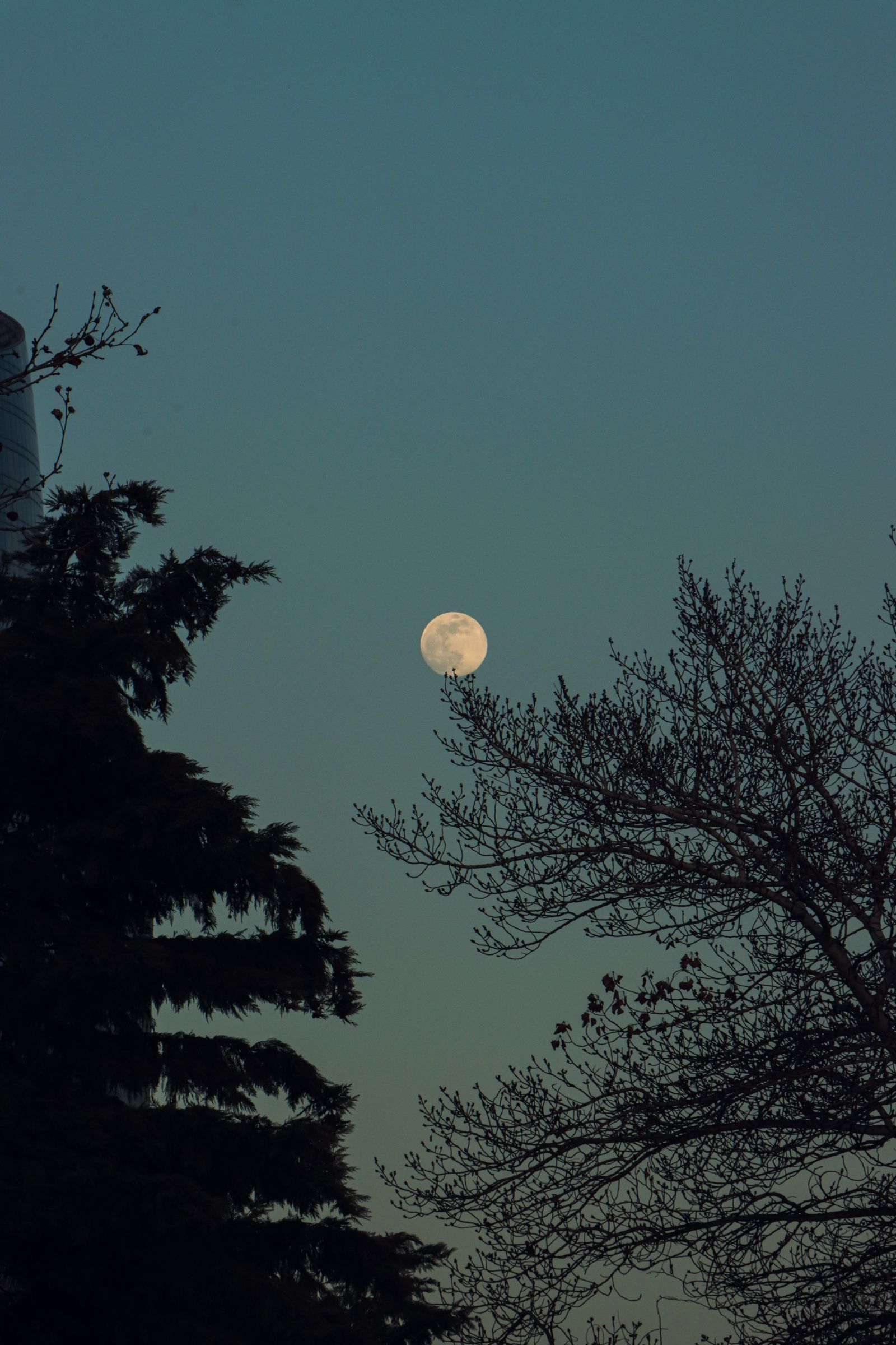 Moon Portal Photos, Download The BEST Free Moon Portal Stock Photos ...