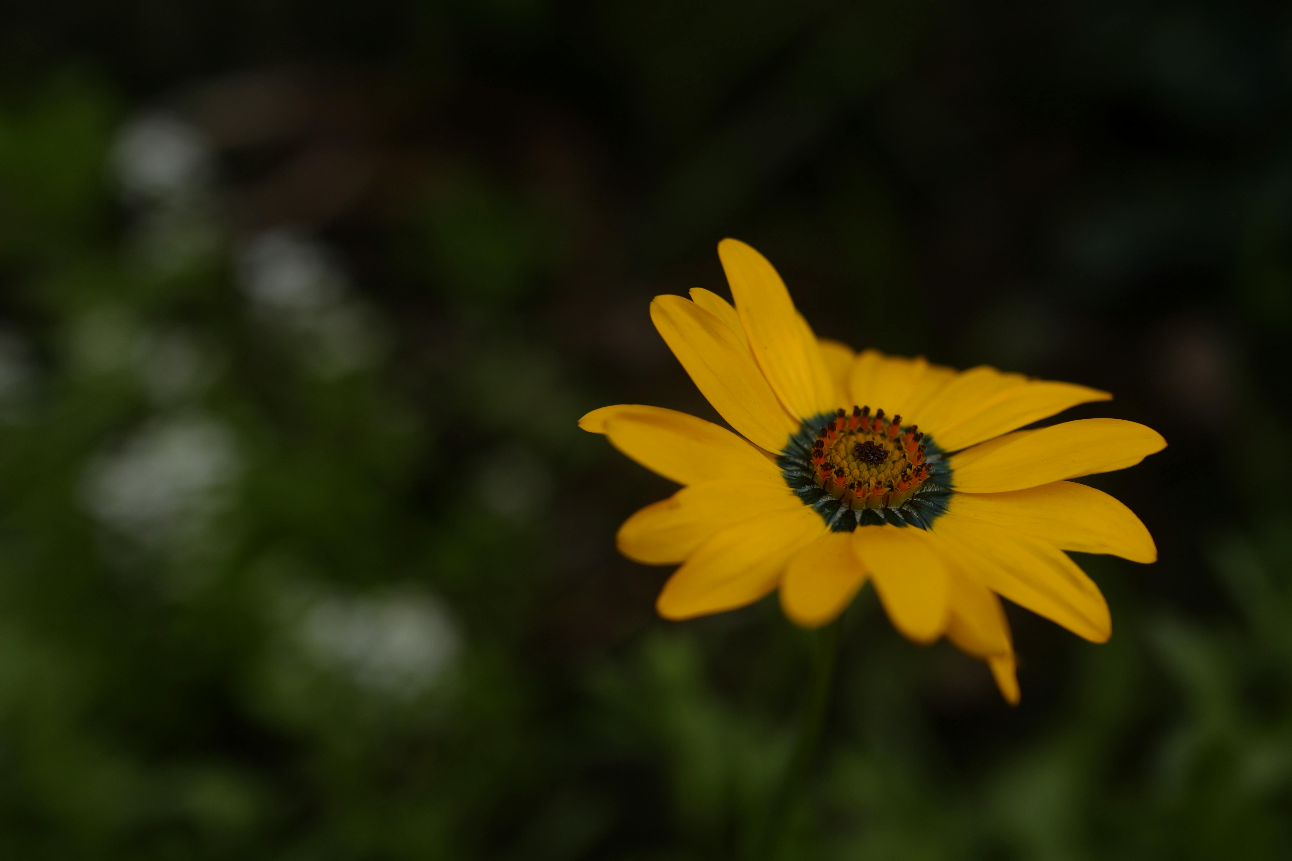 Manda Walker - Photography