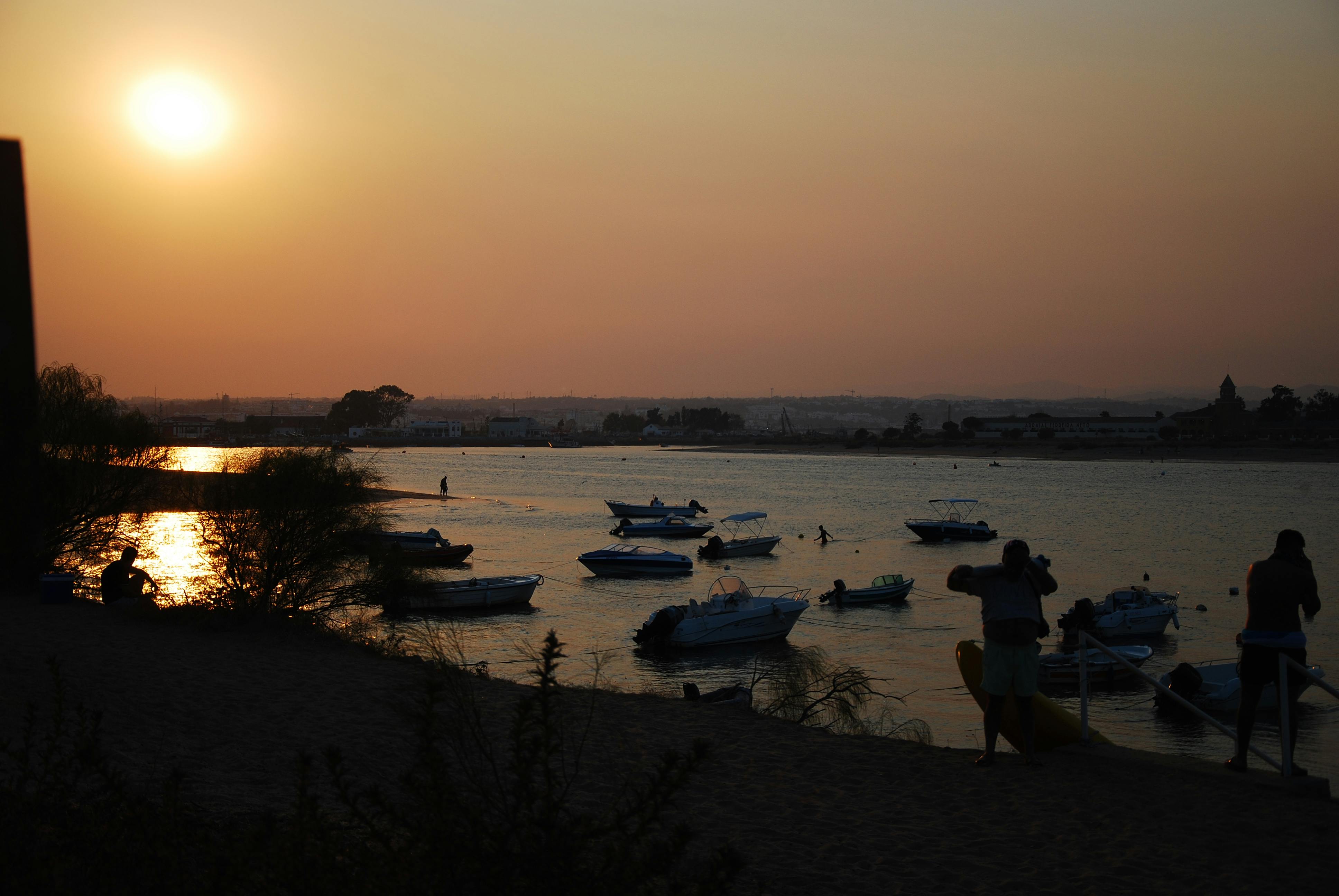 Sun Bins Photos, Download The BEST Free Sun Bins Stock Photos & HD Images