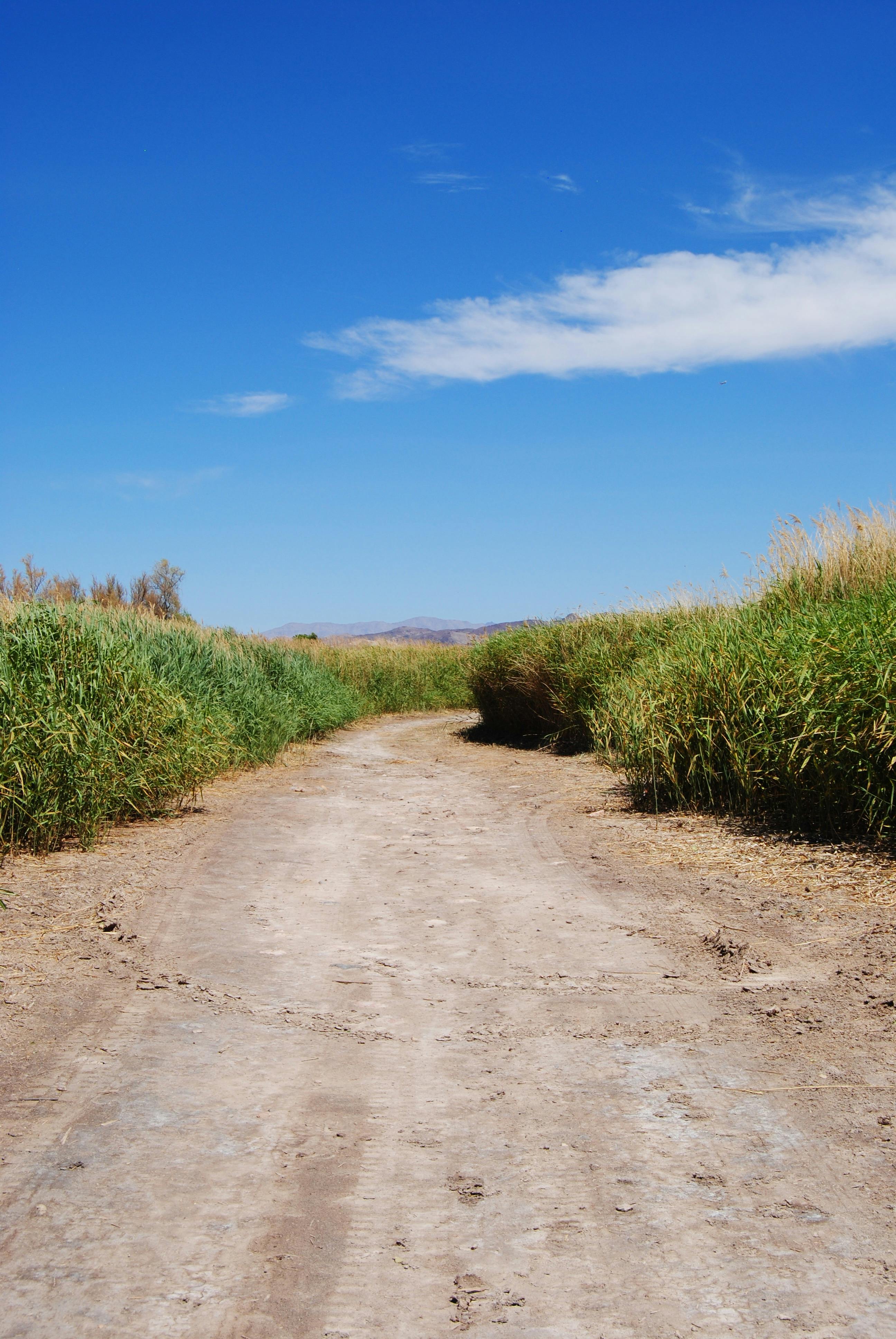 Fence Along a Road Paved with Concrete Slabs · Free Stock Photo