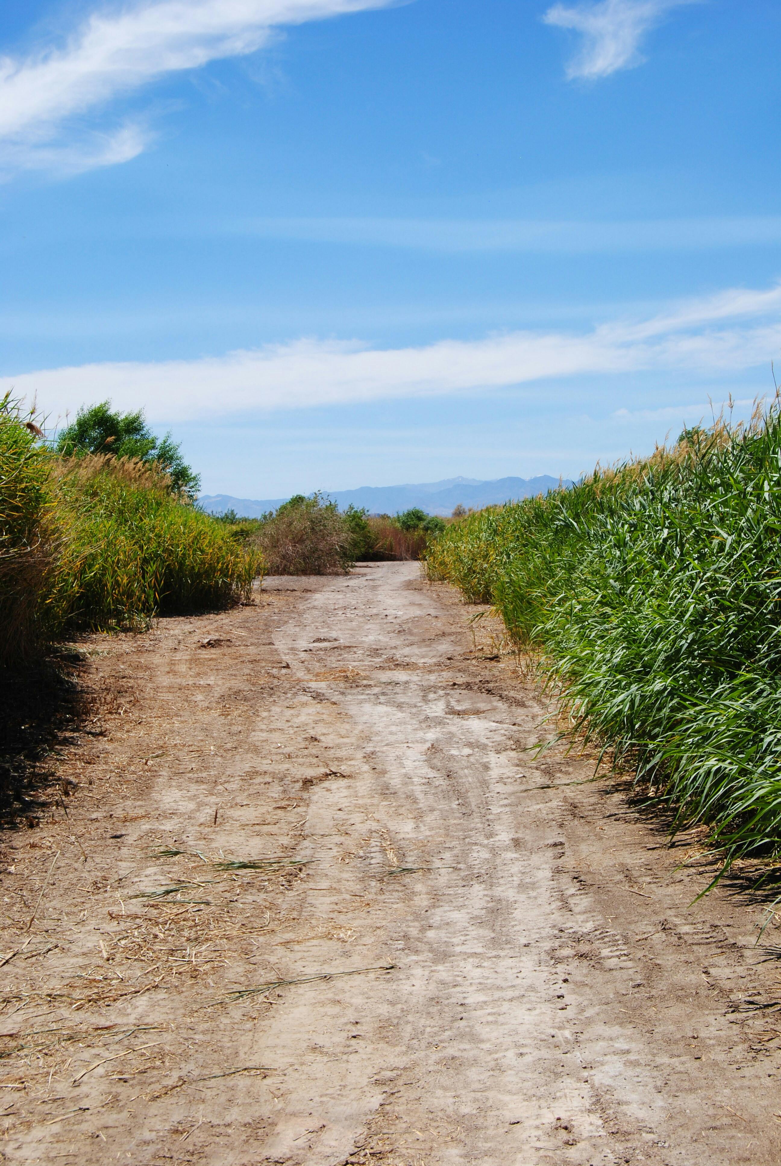 Catalog Path Photos, Download The BEST Free Catalog Path Stock Photos ...