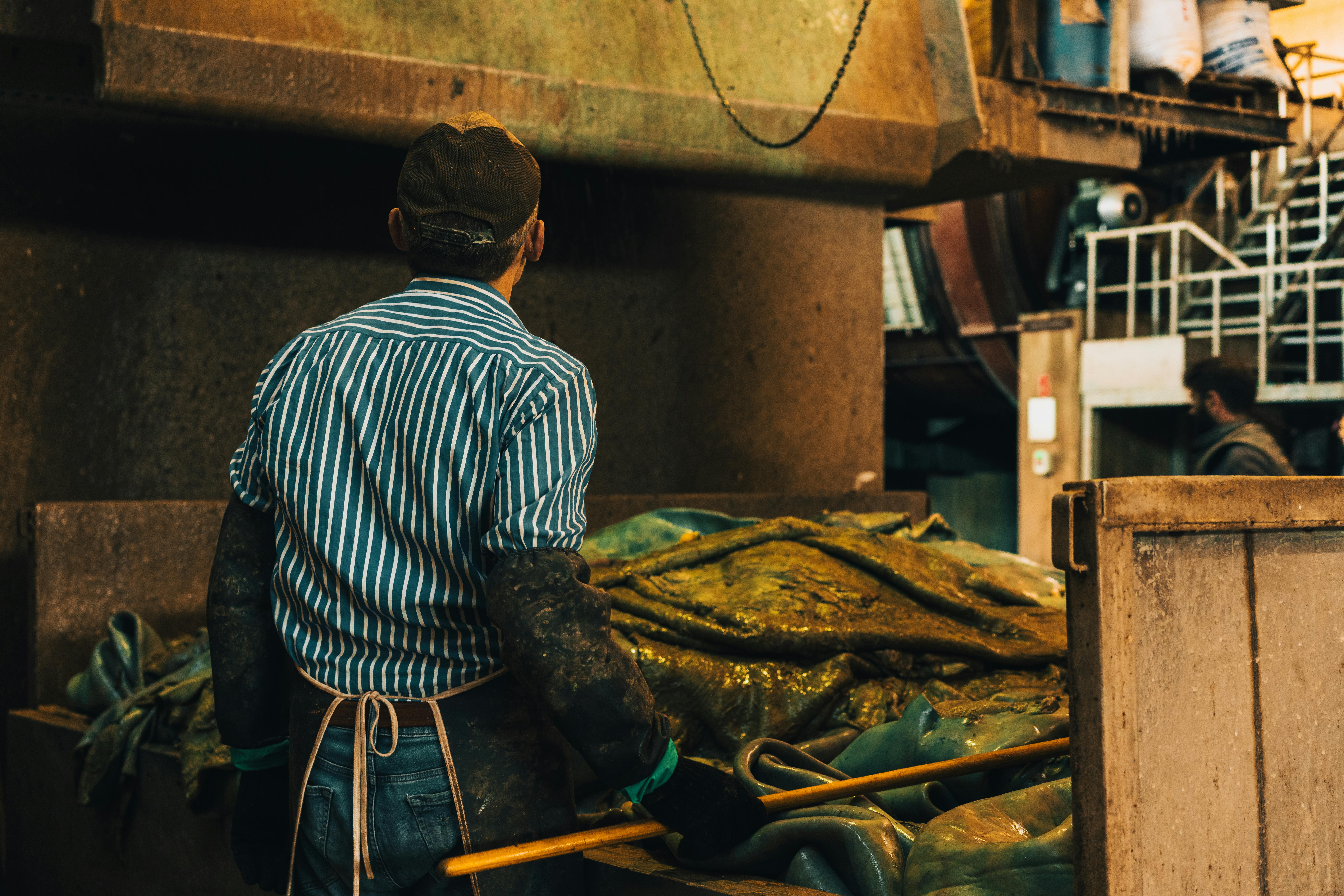 Back View of Man Working at Factory · Free Stock Photo