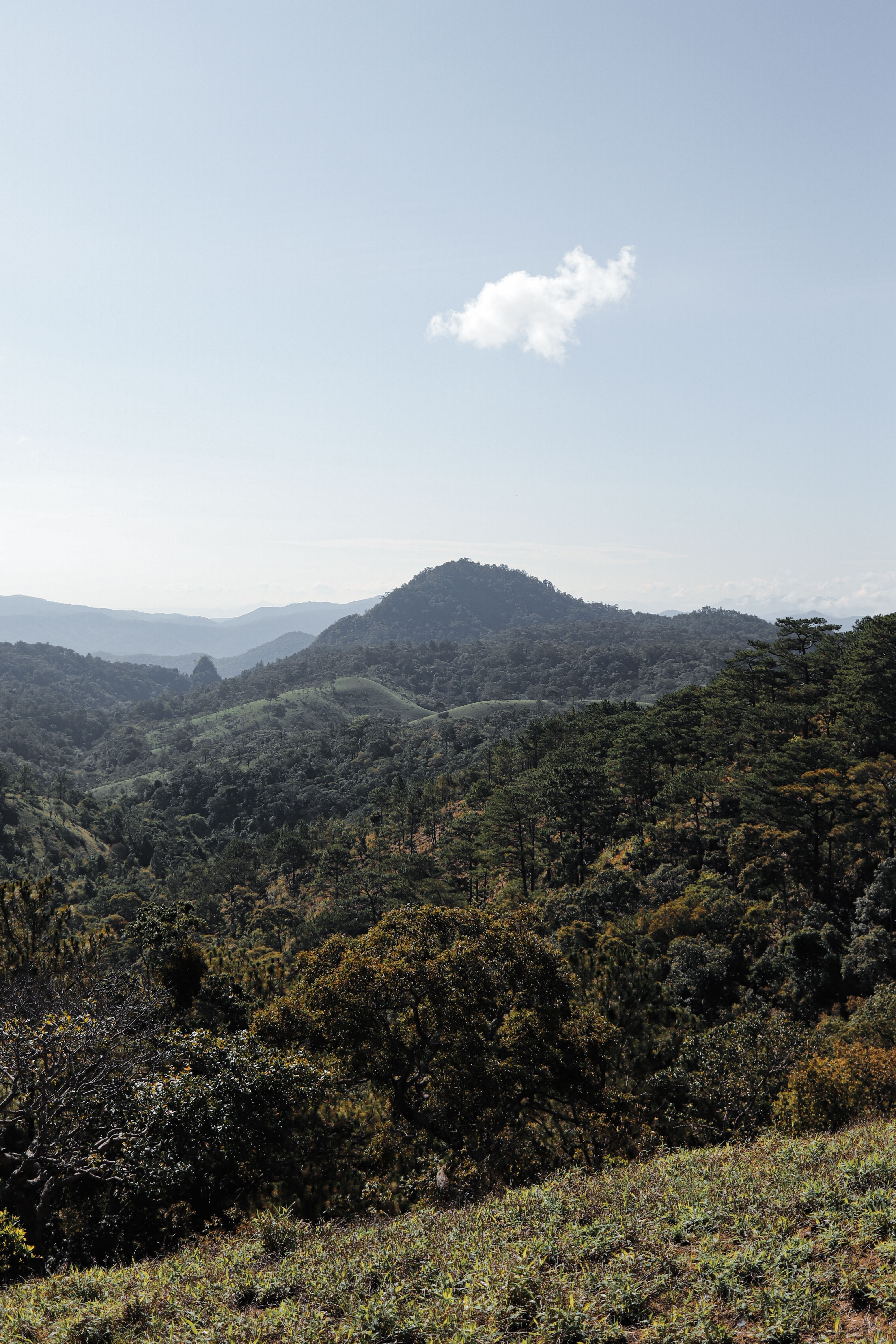 Green Forest on Hills under Clear Sky · Free Stock Photo