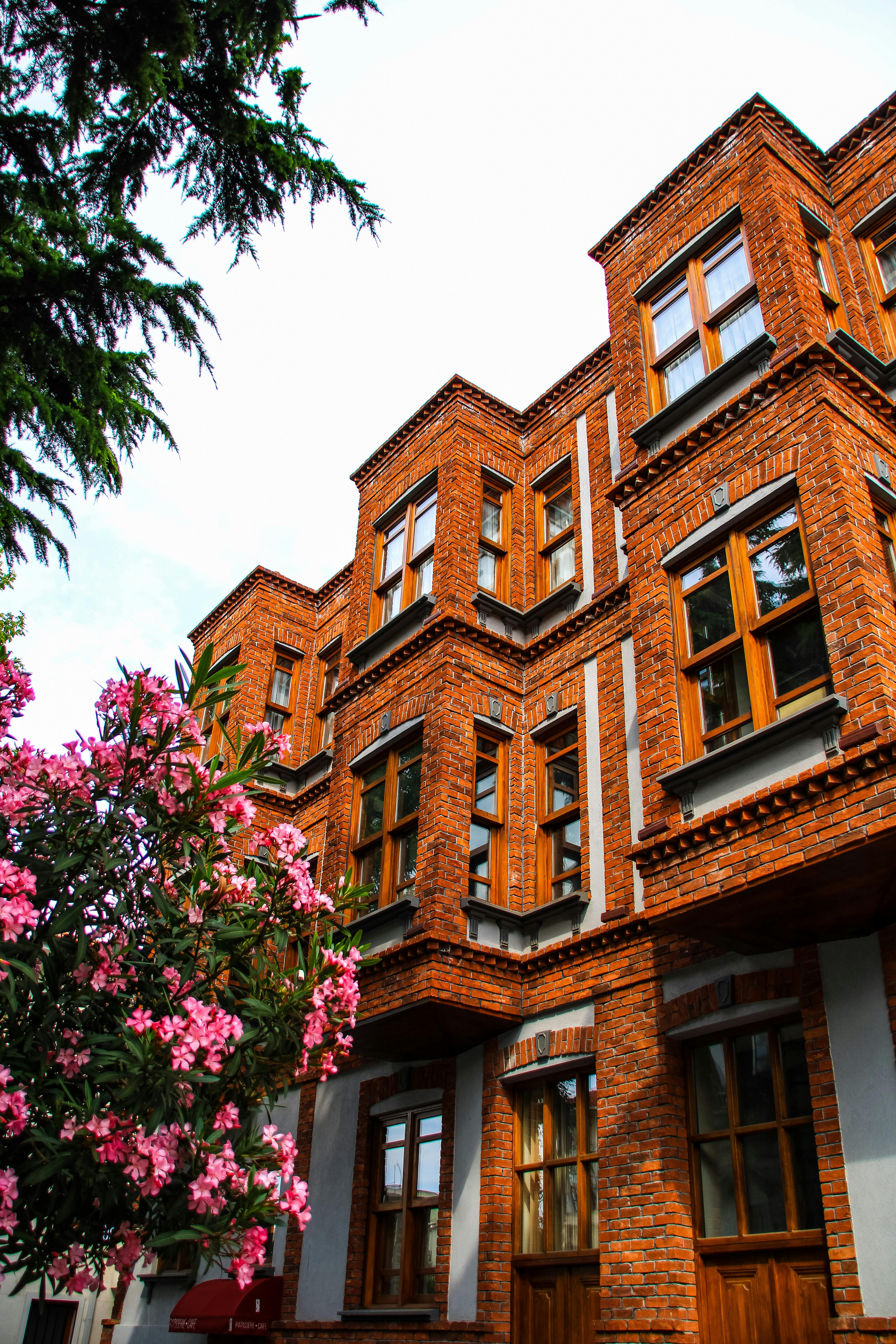 Red Light over Buildings Walls · Free Stock Photo