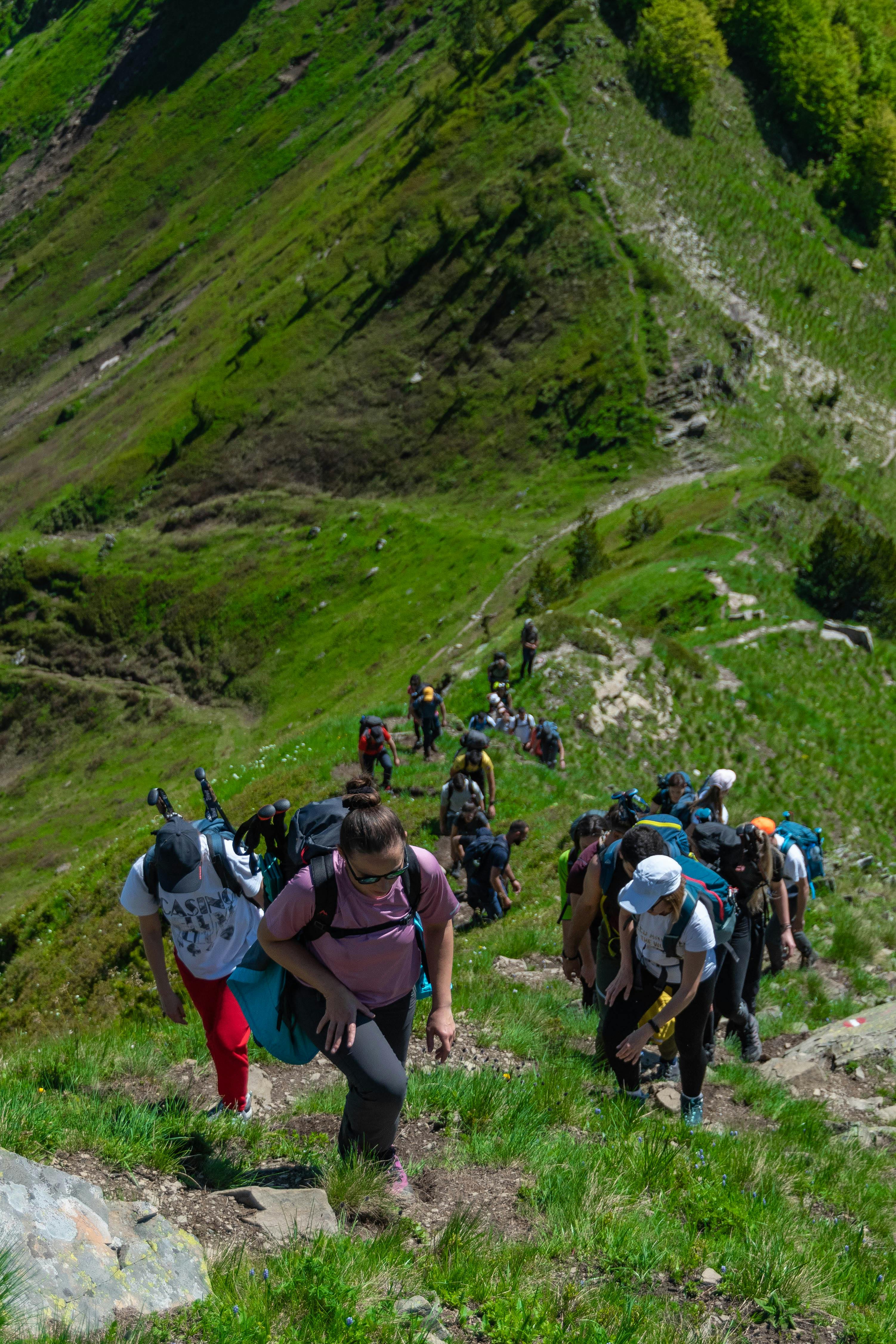 Dirth Path Photos, Download The BEST Free Dirth Path Stock Photos & HD ...