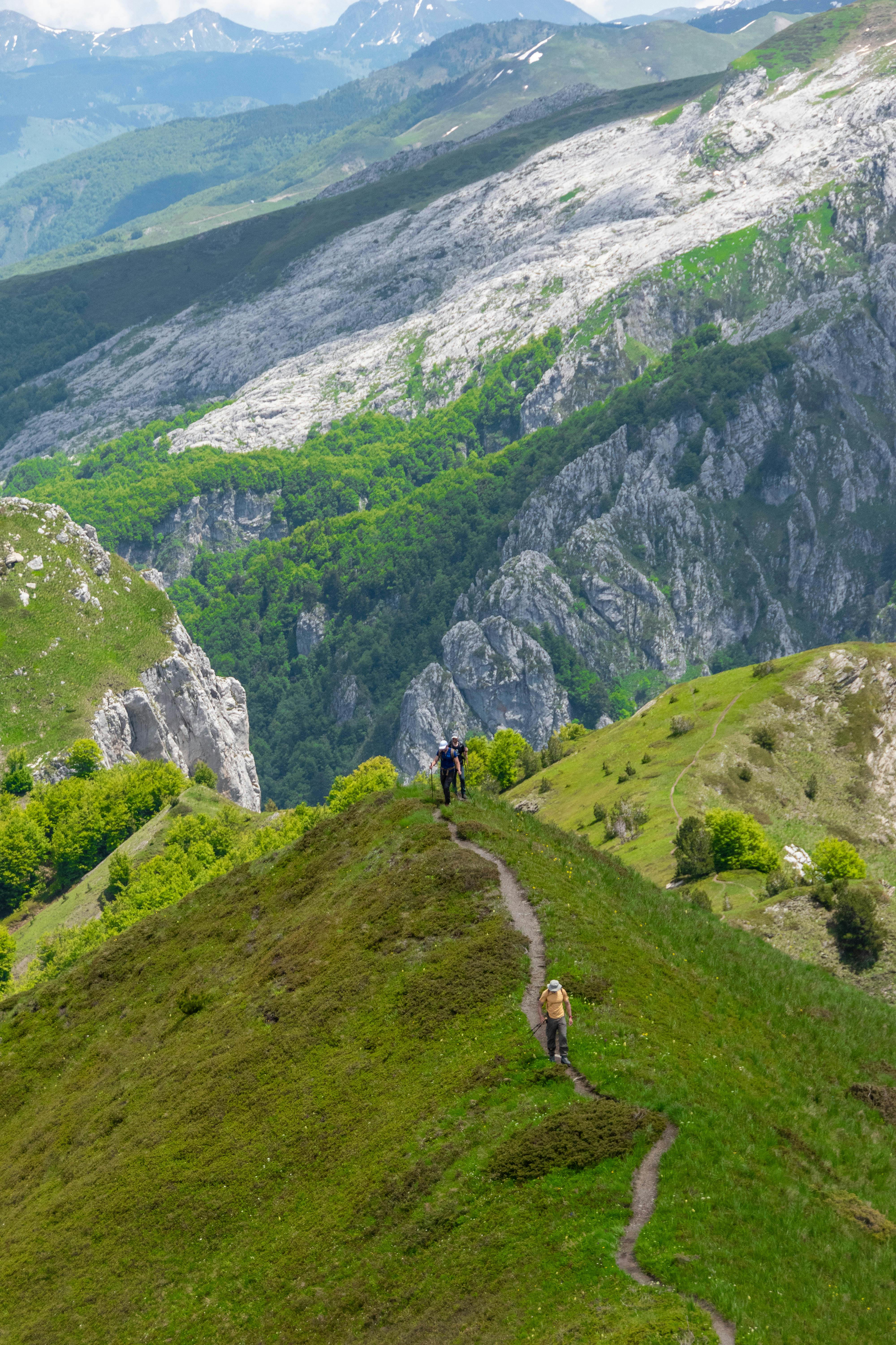 People Walking on a Path in a Mountain Valley · Free Stock Photo