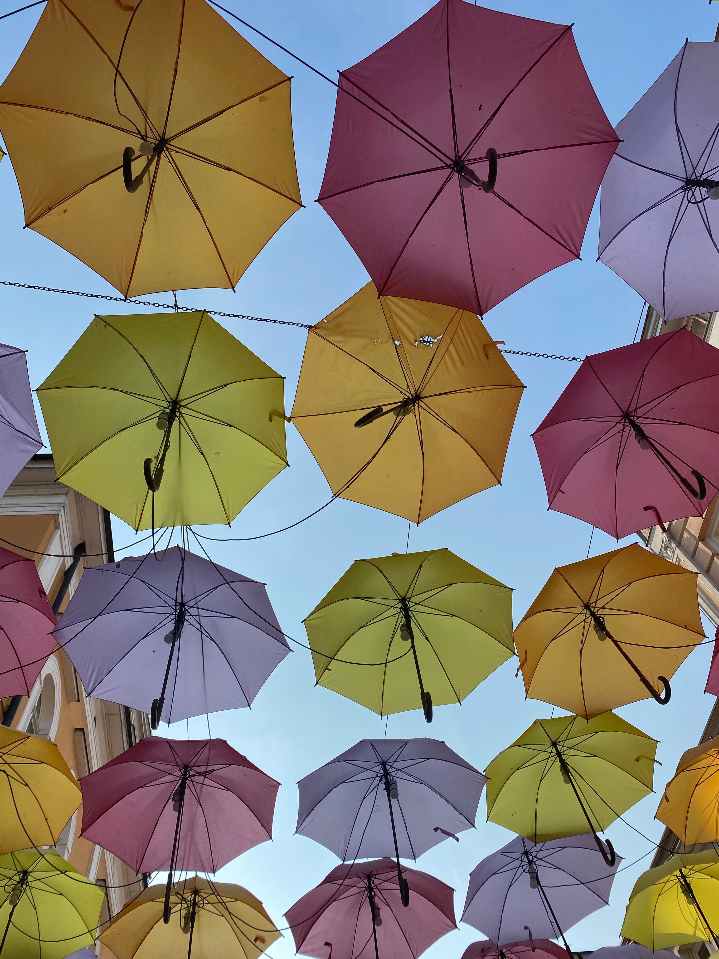Multi Colored Umbrellas Hanging Over Street · Free Stock Photo
