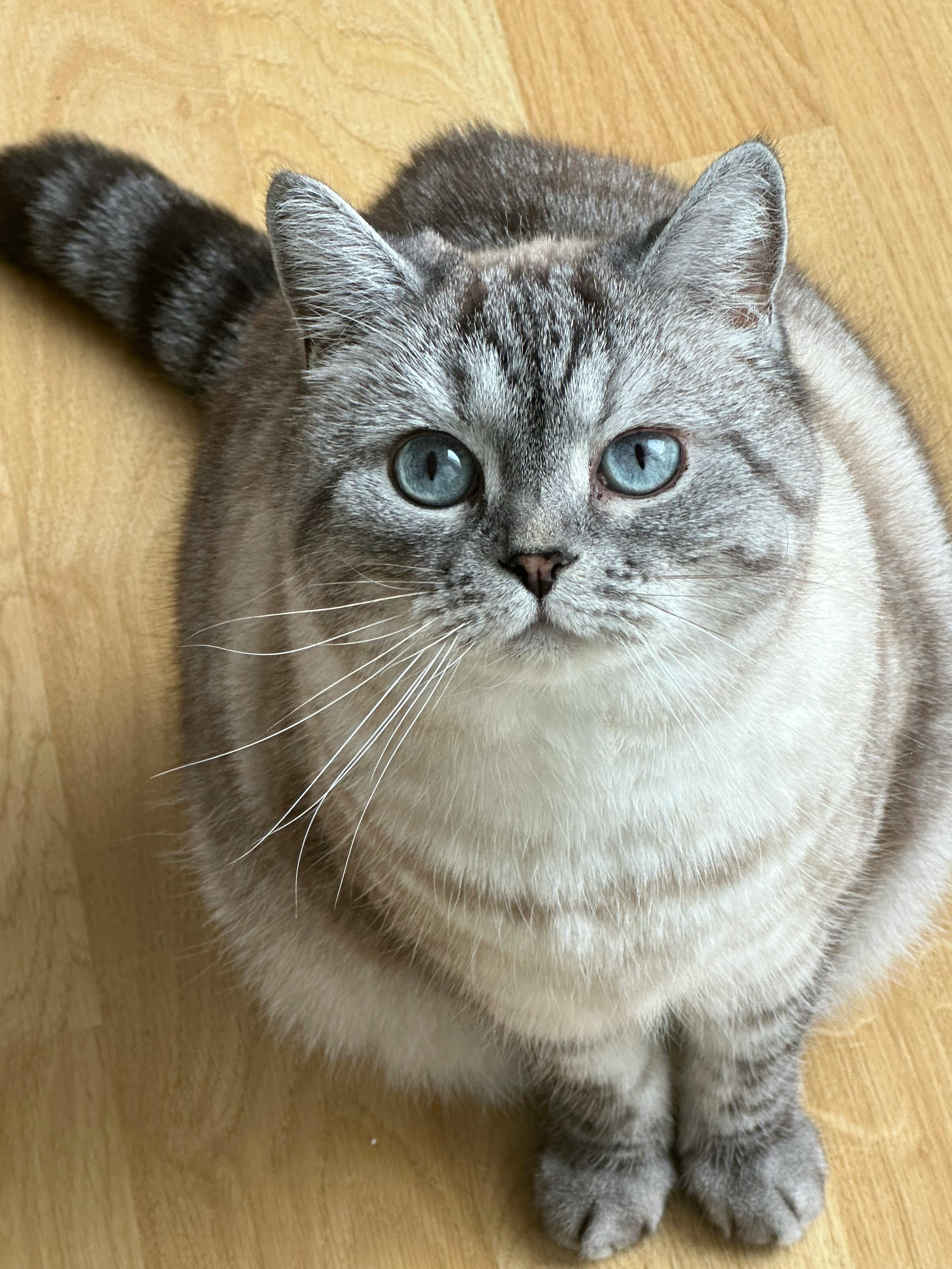 Captivated Look Photos, Download The BEST Free Captivated Look Stock ...