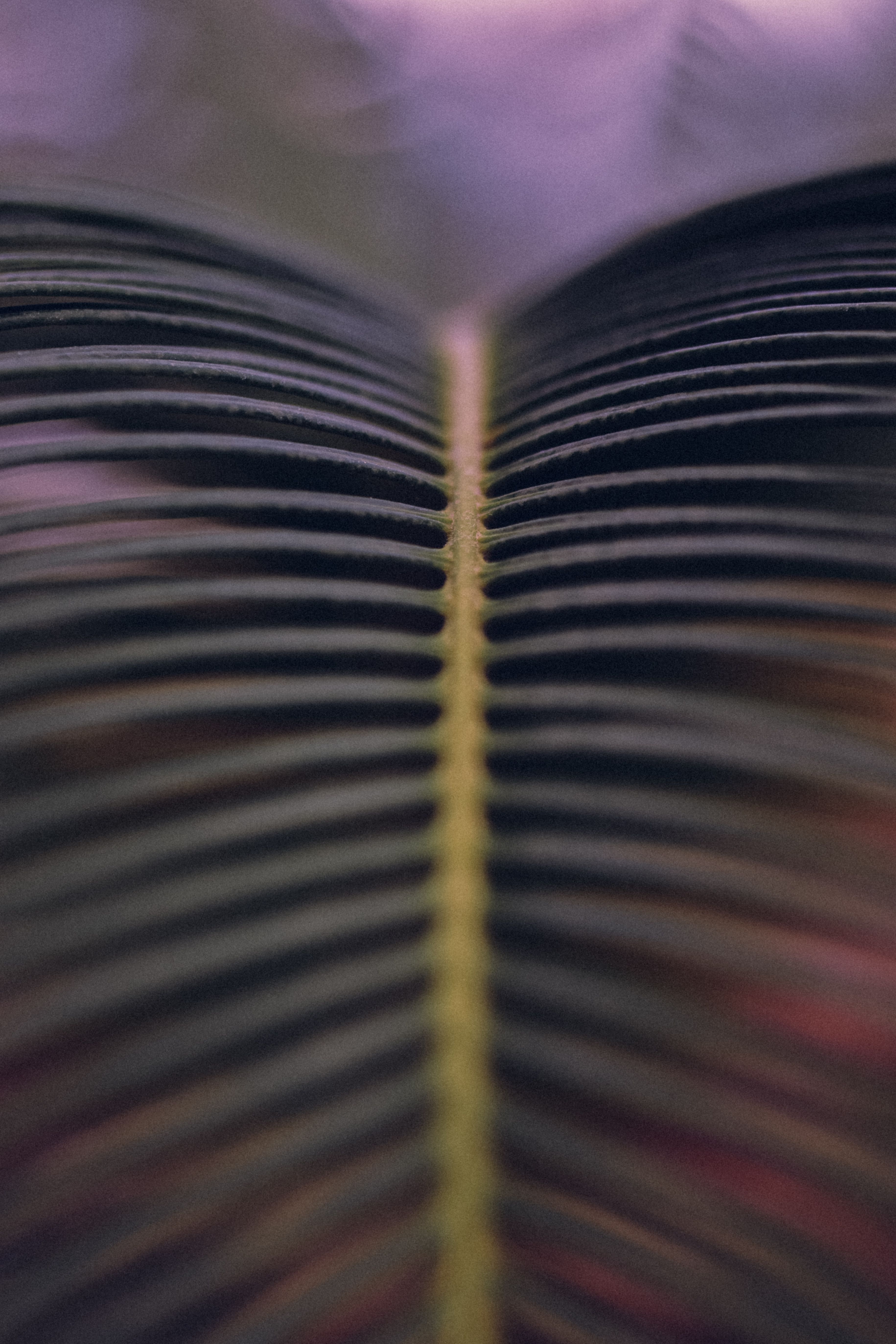 Dark Paper Texture Photos, Download The BEST Free Dark Paper Texture ...