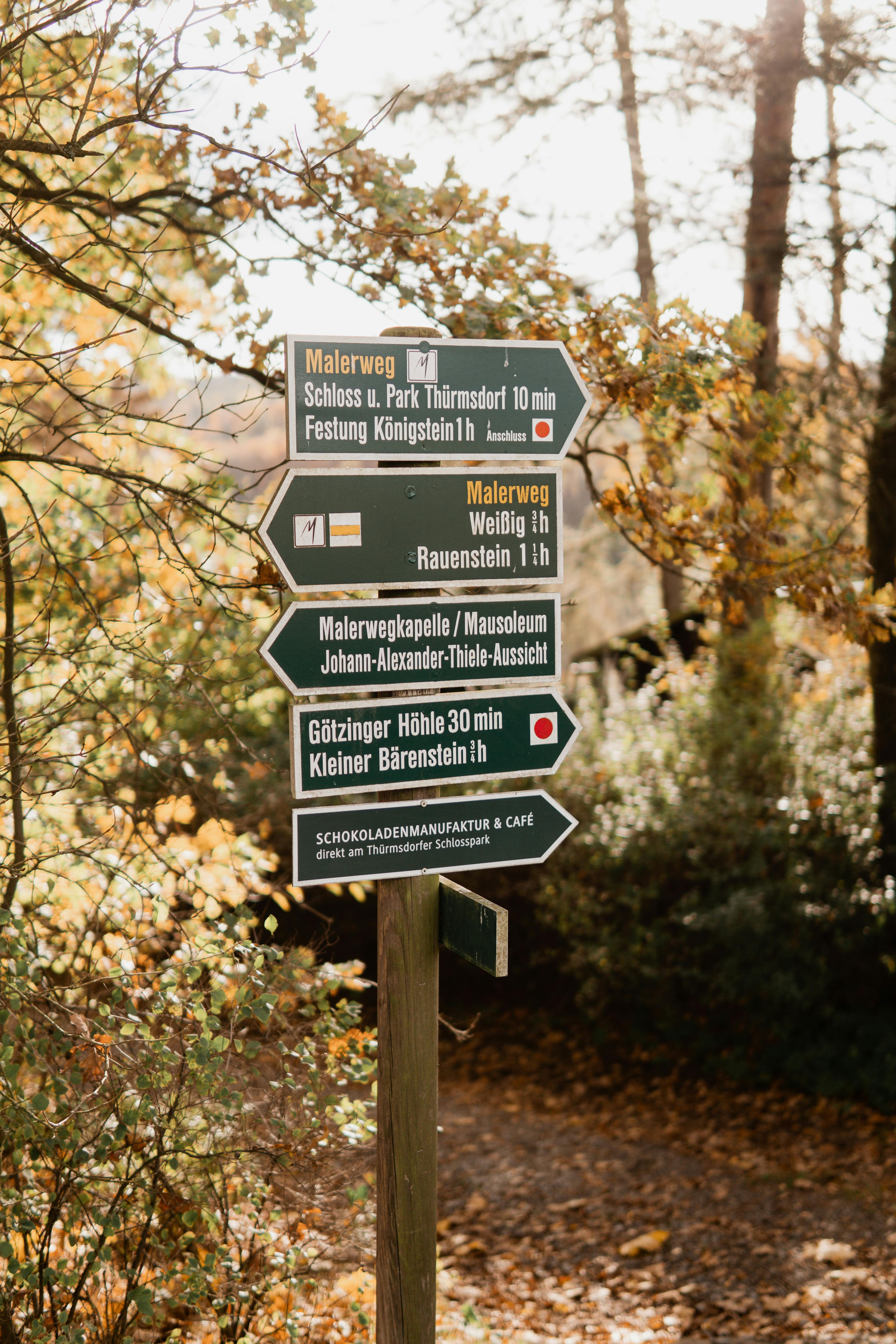 Directional Signs in Forest · Free Stock Photo