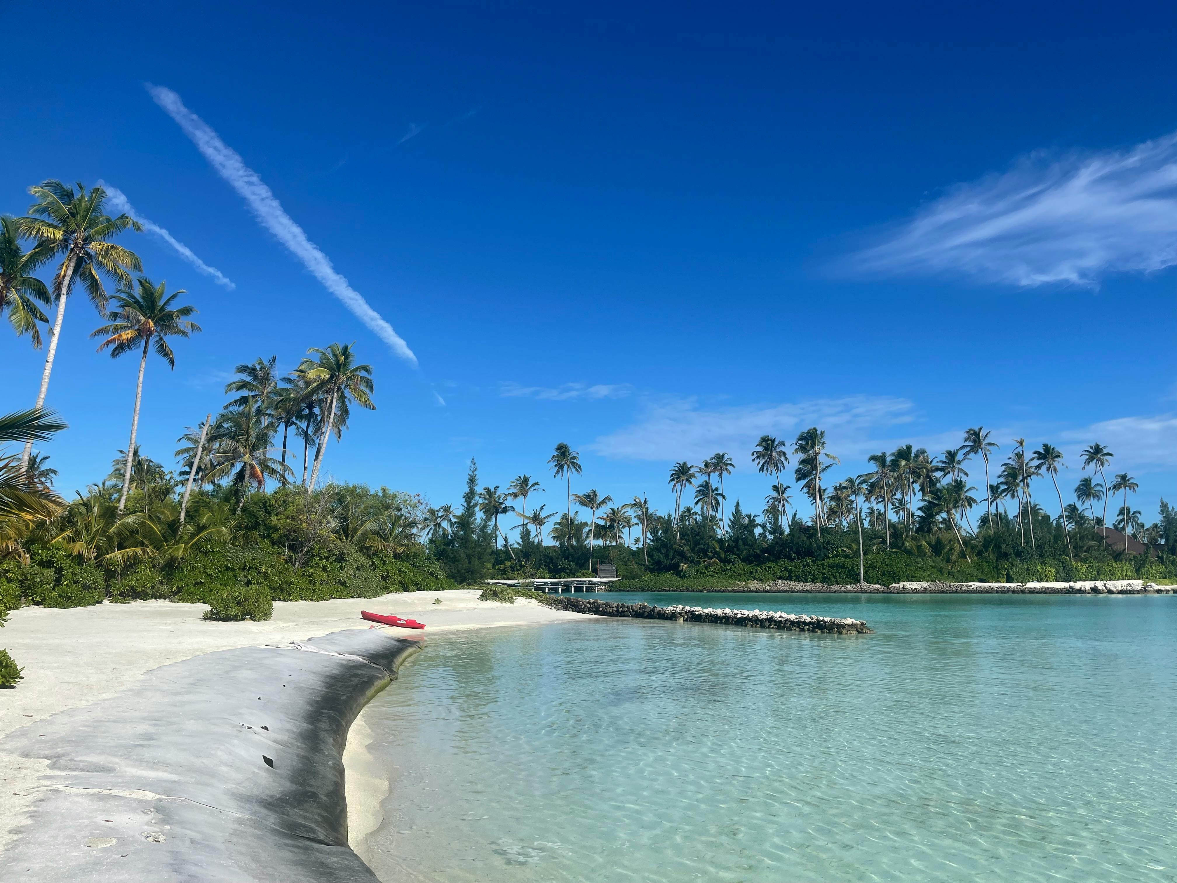 Street with Palm Tree near Beach in Town · Free Stock Photo Street with Palm Tree near Beach in Town · Free Stock Photo