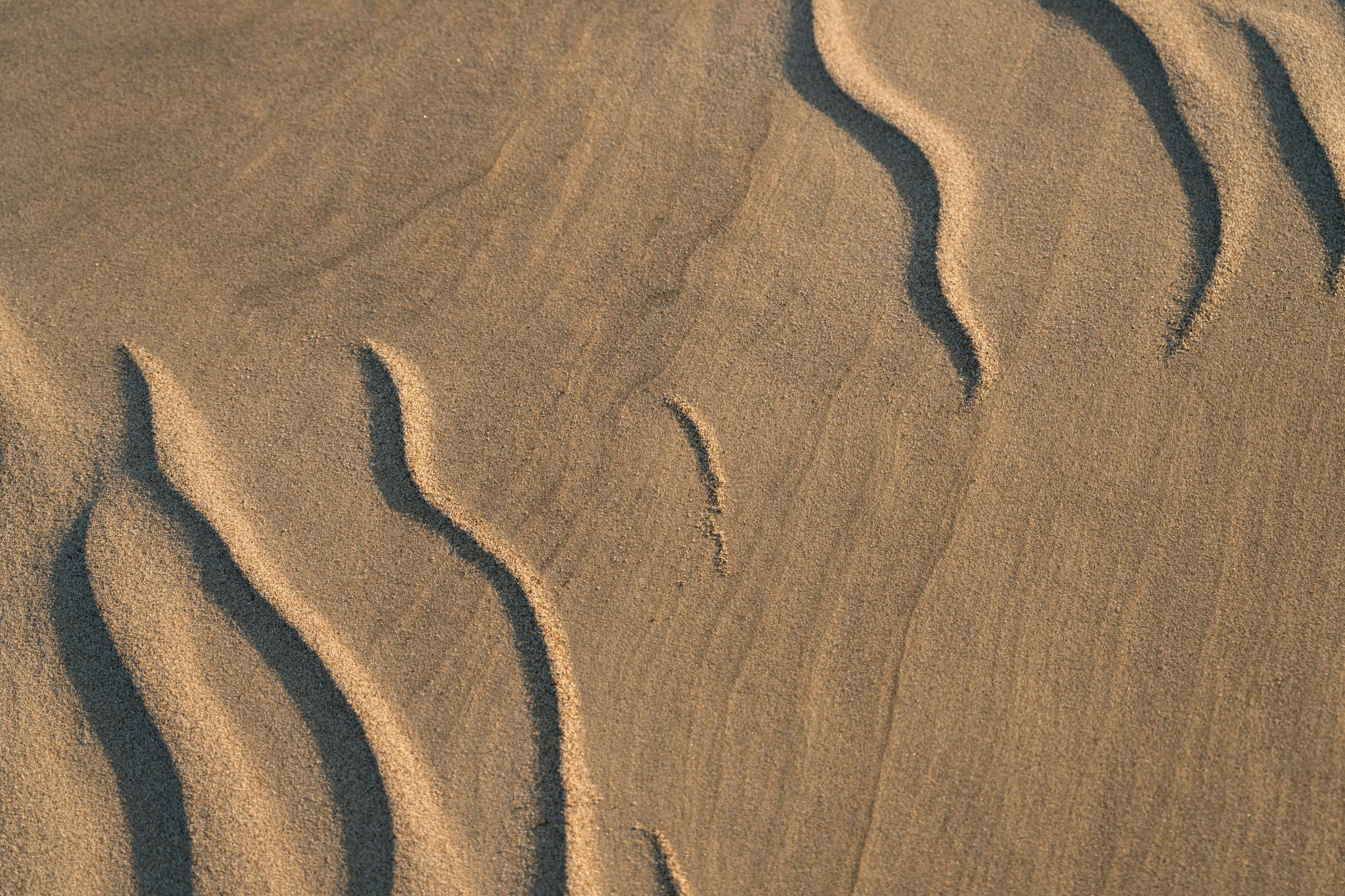 Sand dunes with waves in the background · Free Stock Photo