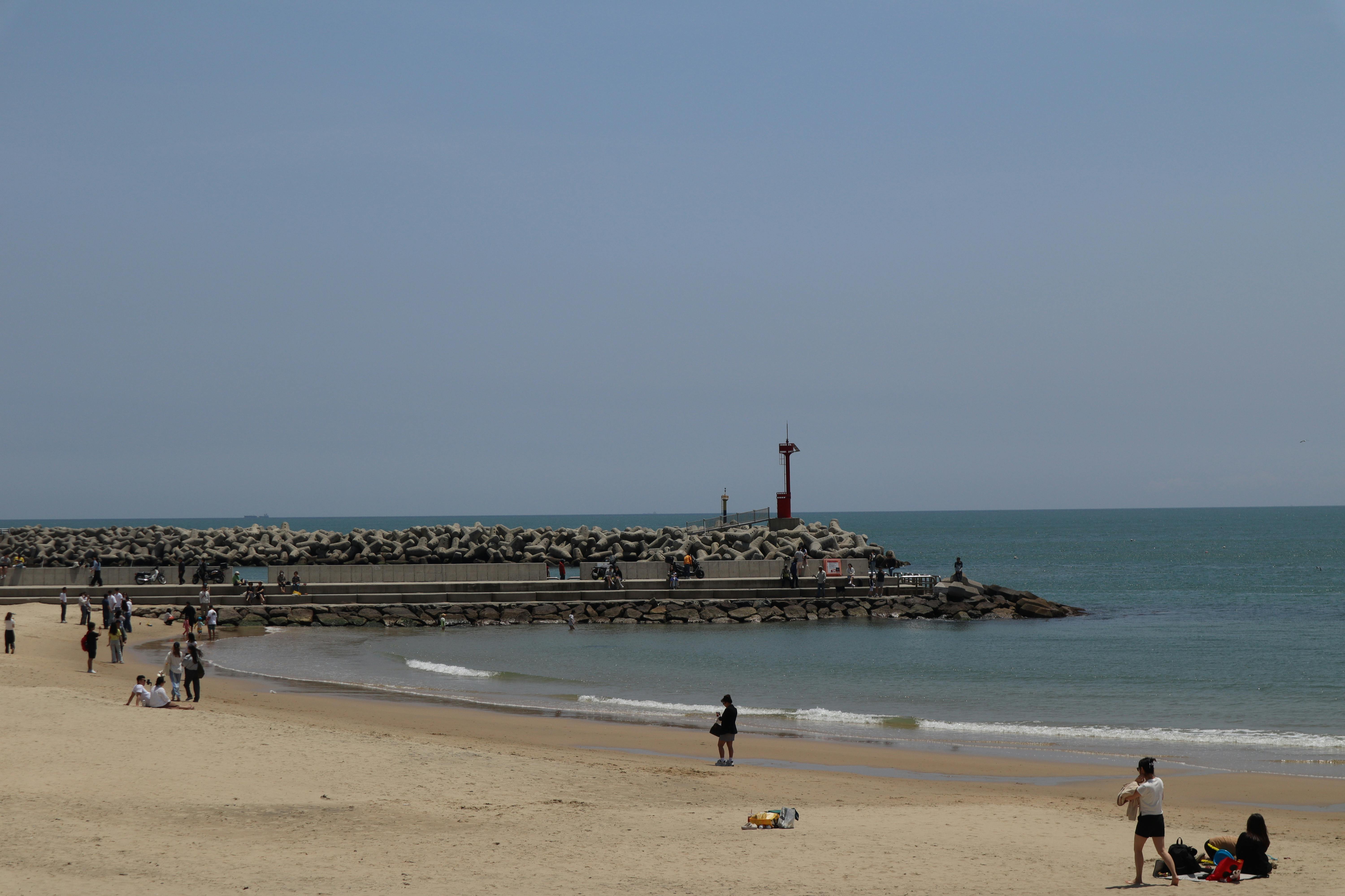 Public Suntanning at Haeundae Beach in the Afternoon · Free Stock Photo