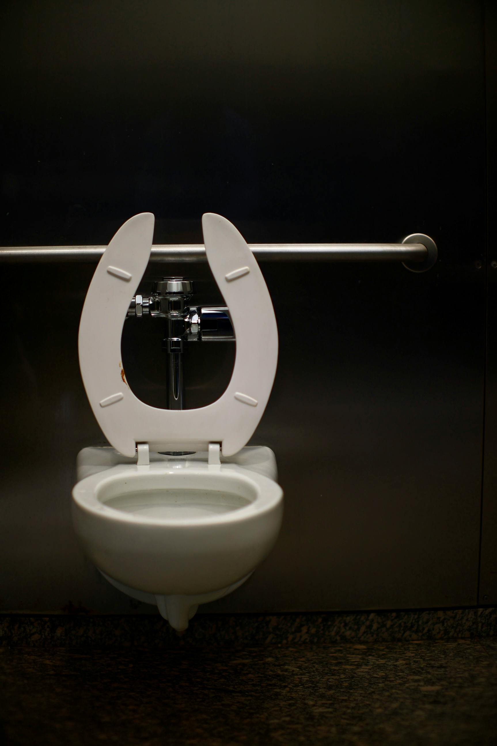 Toilet Seat Photos, Download The BEST Free Toilet Seat Stock Photos ...