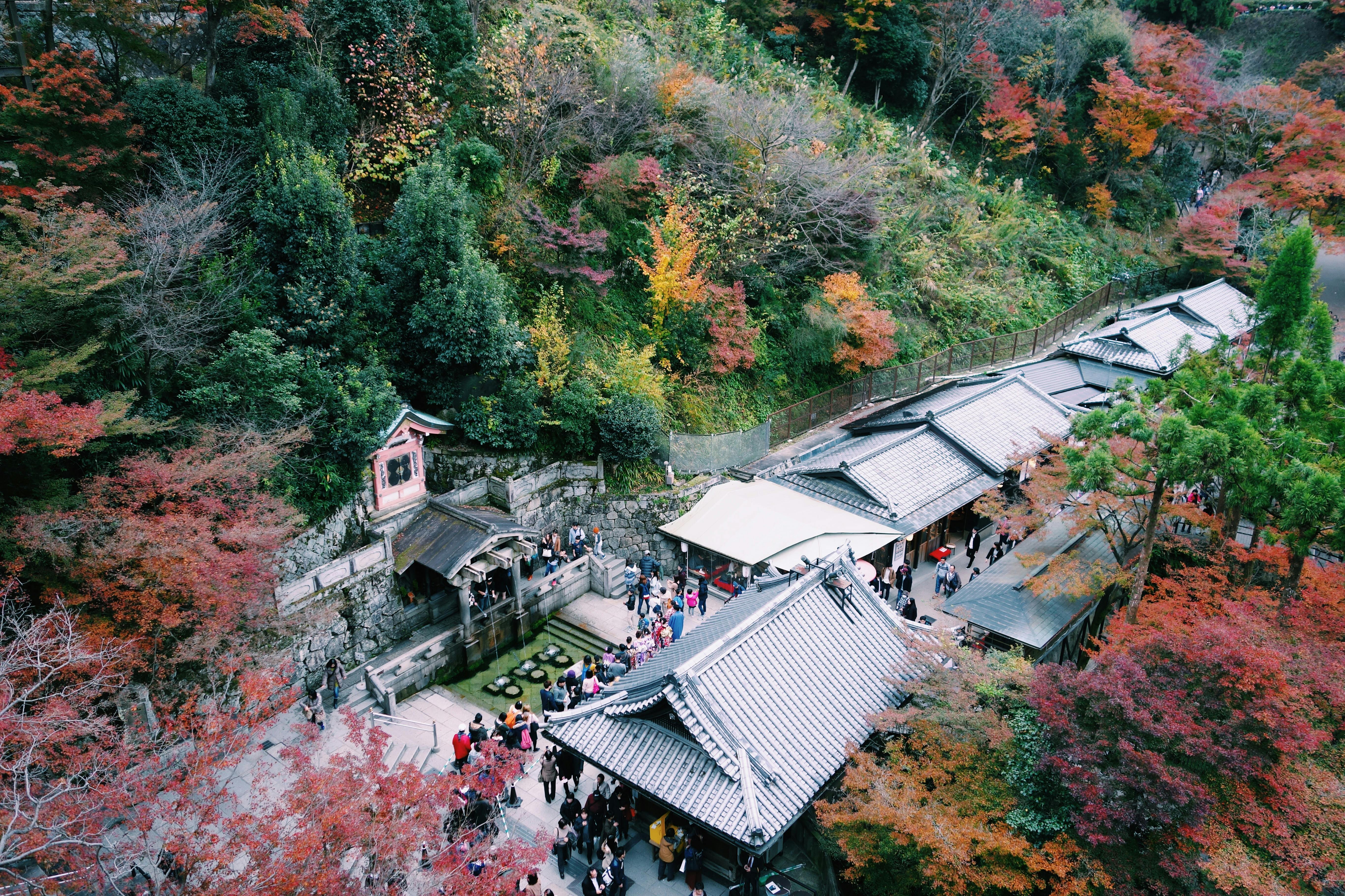 Upper Perspective Photos, Download The BEST Free Upper Perspective ...