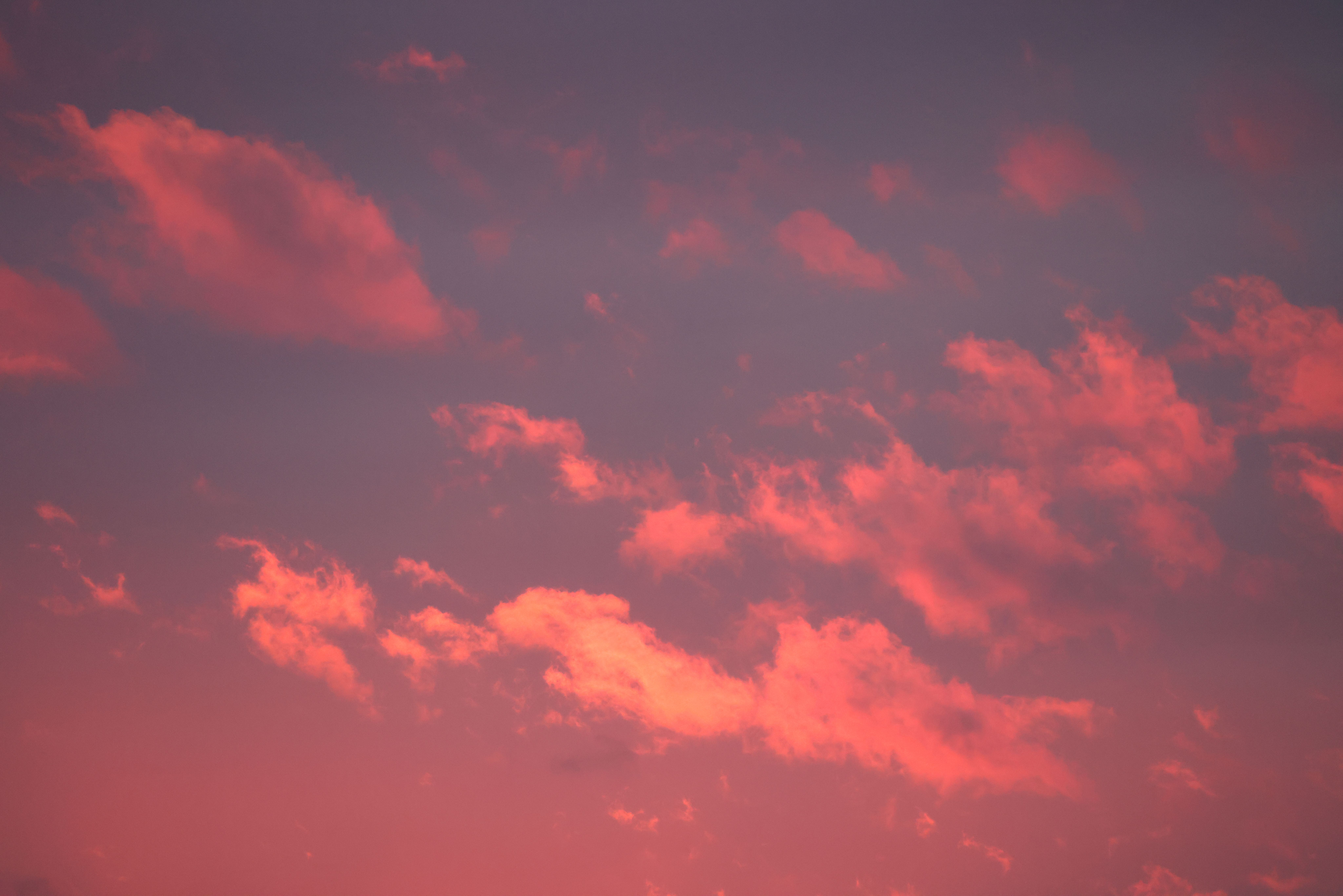 Pink Sky at Dusk · Free Stock Photo