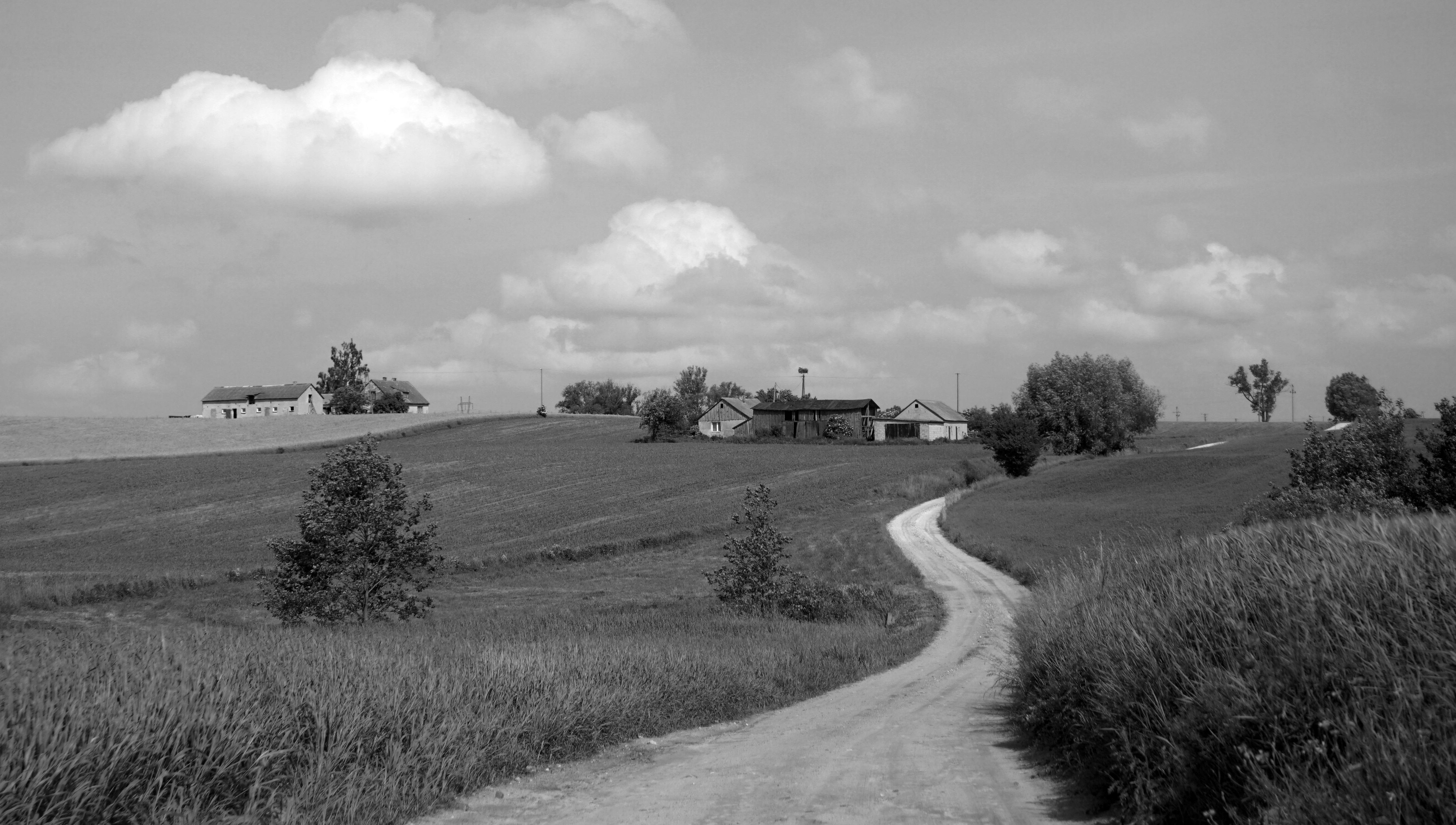 A Cottage in the Countryside · Free Stock Photo
