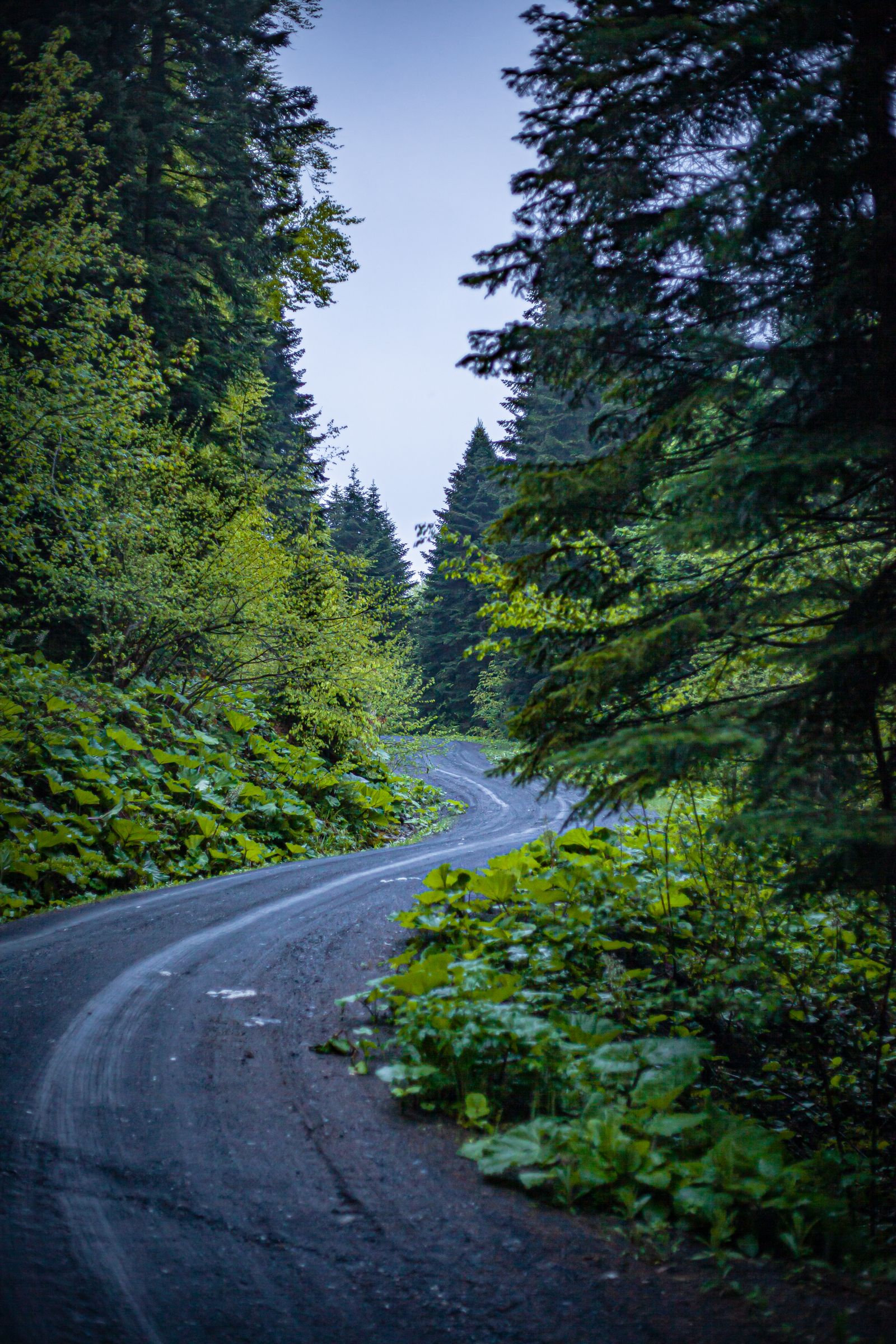 100,000+张最精彩的“Dark Road Desktop Wallpaper”图片 · 100%免费下载 · Pexels素材图片