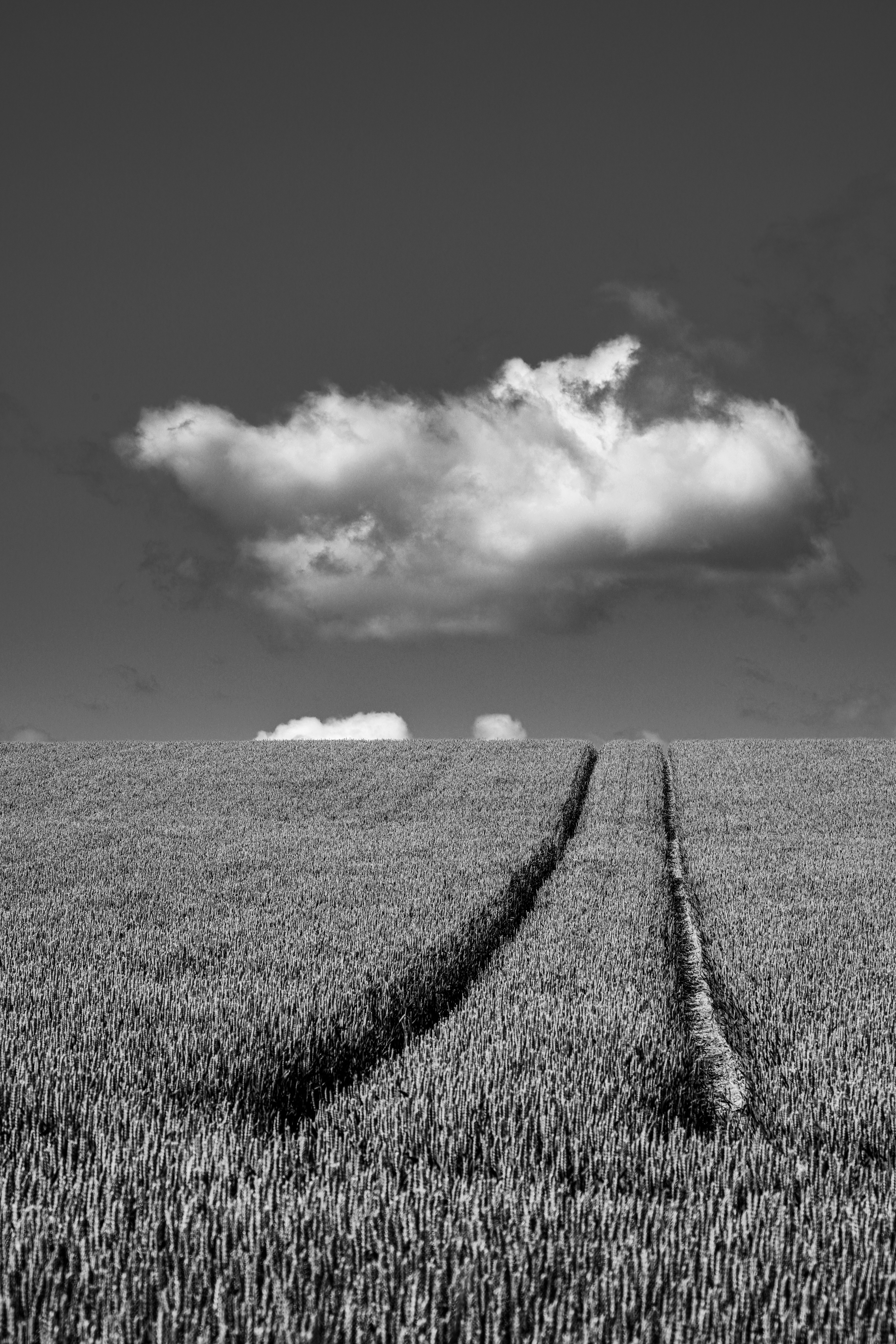 Cloud over Rural Field · Free Stock Photo