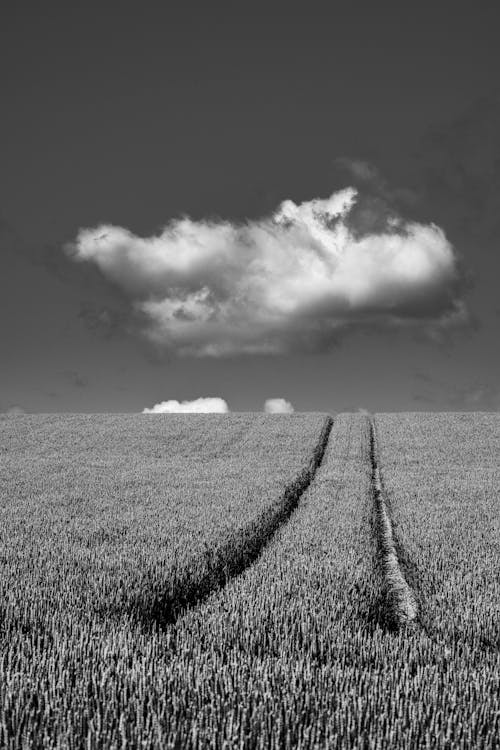 Cloud over Rural Field · Free Stock Photo Cloud over Rural Field · Free Stock Photo