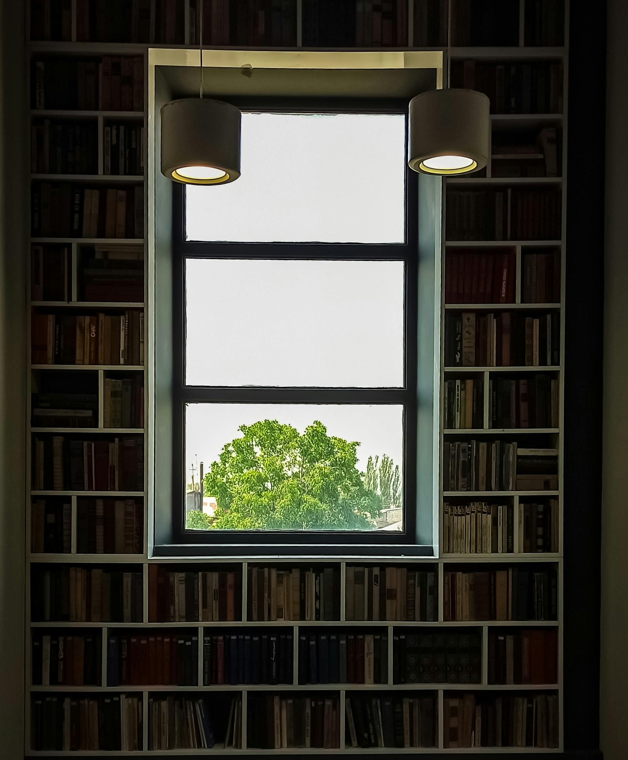 Tree behind Window with Books around · Free Stock Photo