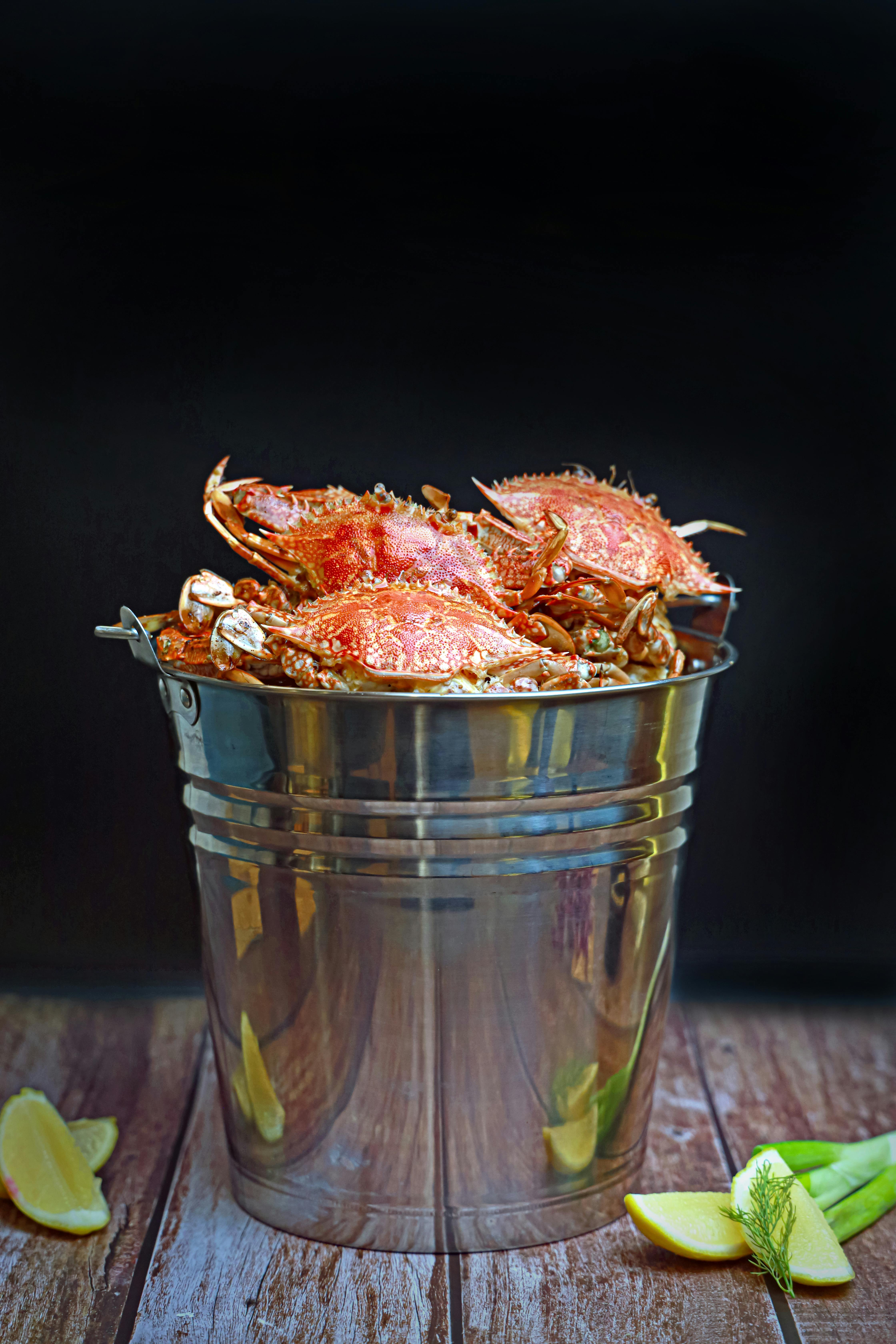 Bucket of Crabs · Free Stock Photo