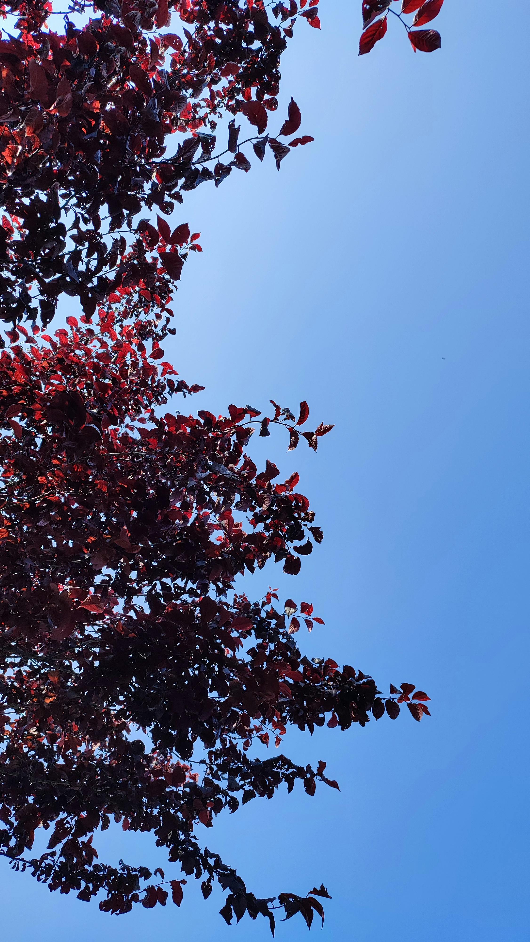 Mehmed Akif Hava - Photography