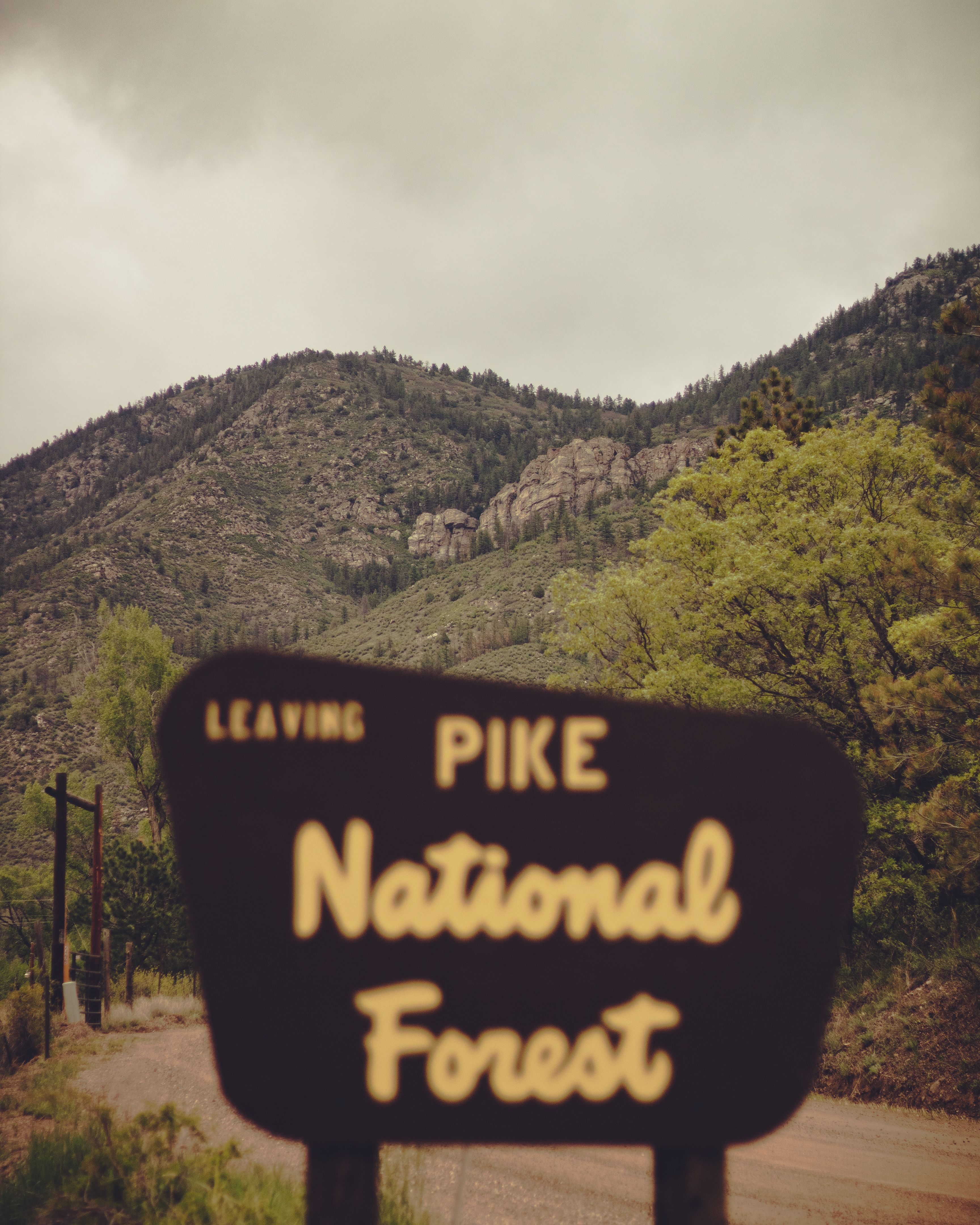 Wooden Sign in a National Park · Free Stock Photo
