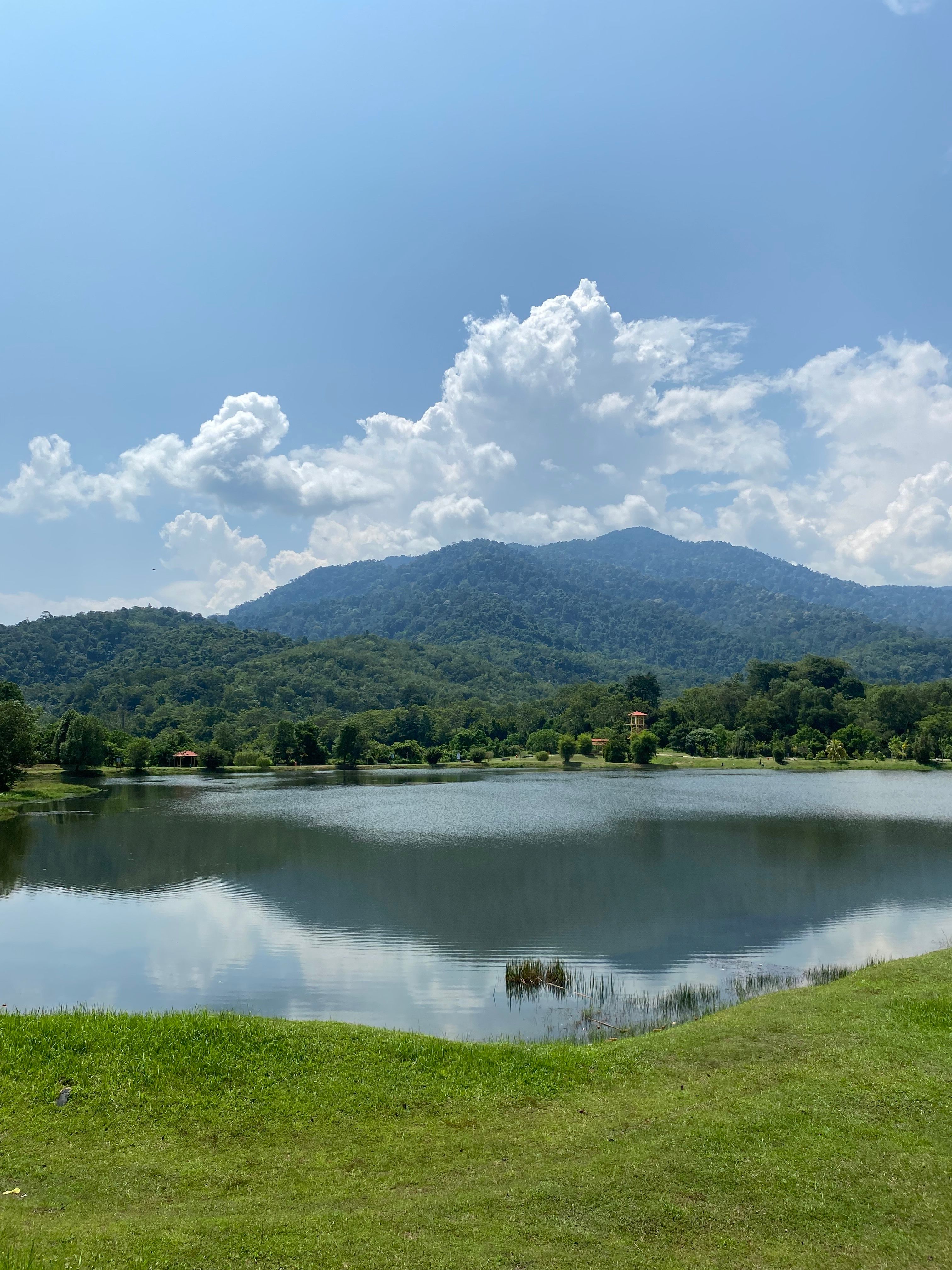Lake in Countryside · Free Stock Photo