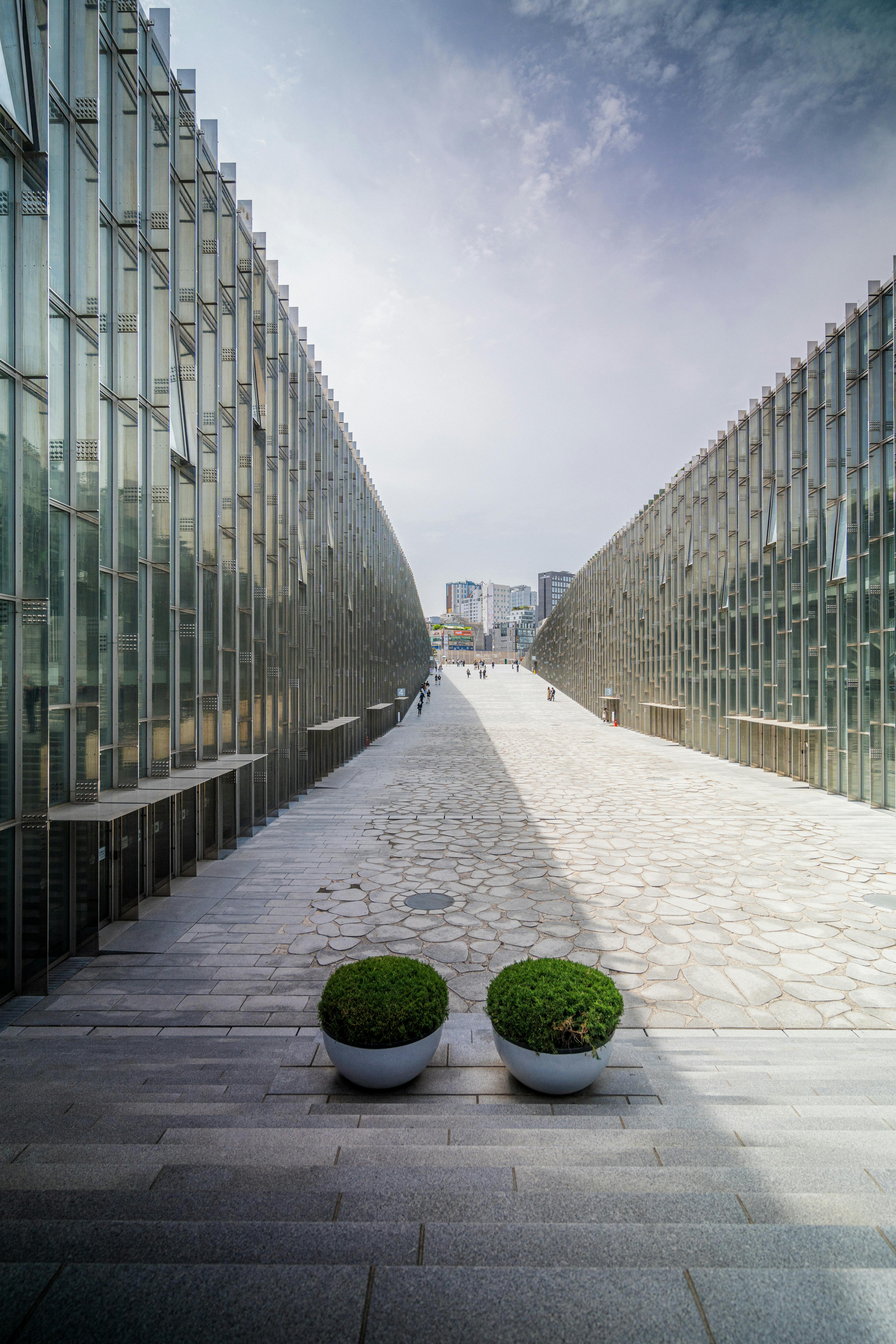 Ewha Universiteit Photos, Download The BEST Free Ewha Universiteit ...
