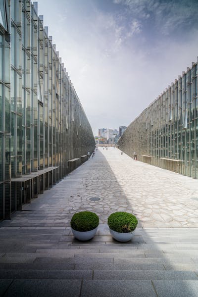 Ewha Universiteit Photos, Download The BEST Free Ewha Universiteit ...