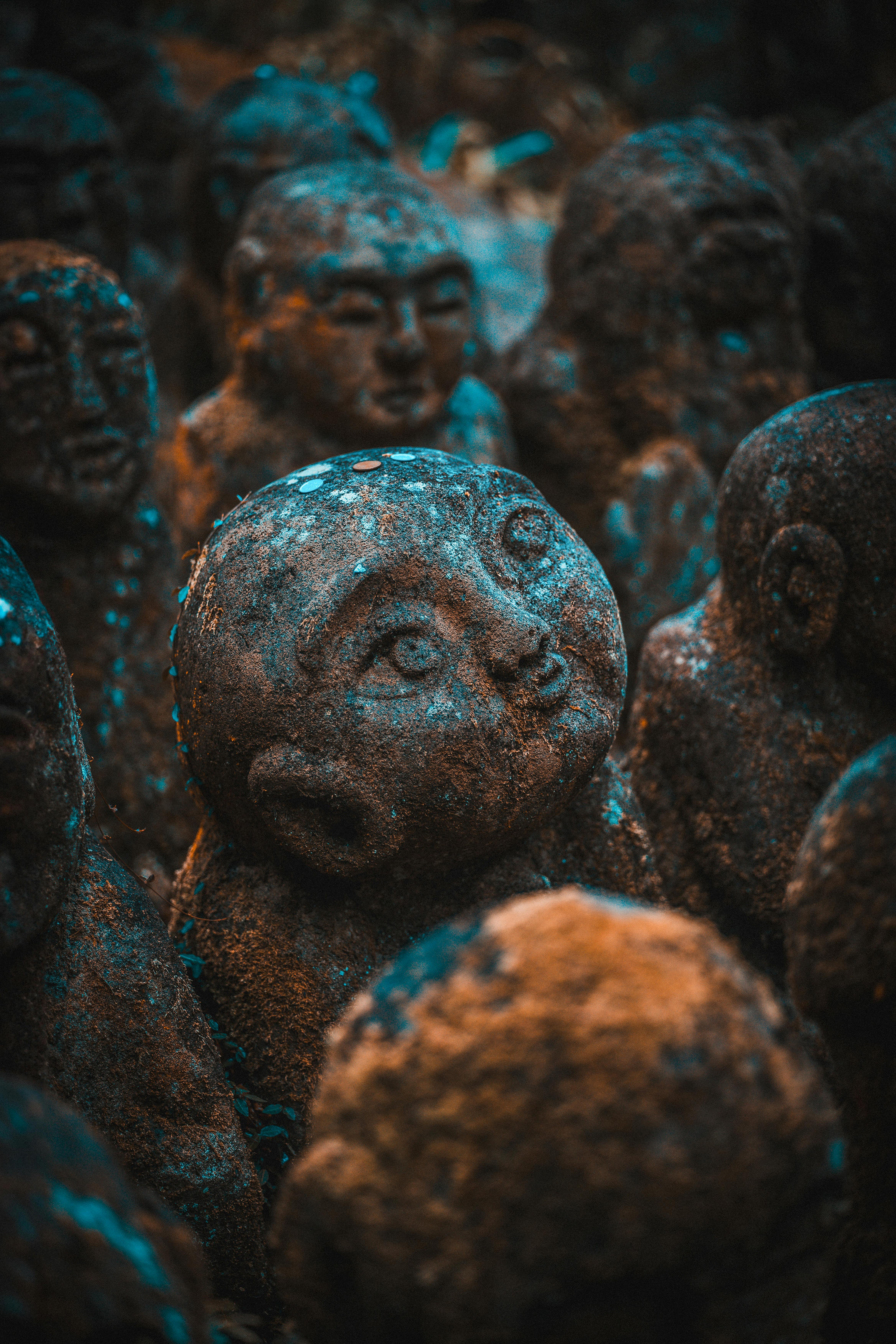 Buddha Statues in the Shadow · Free Stock Photo