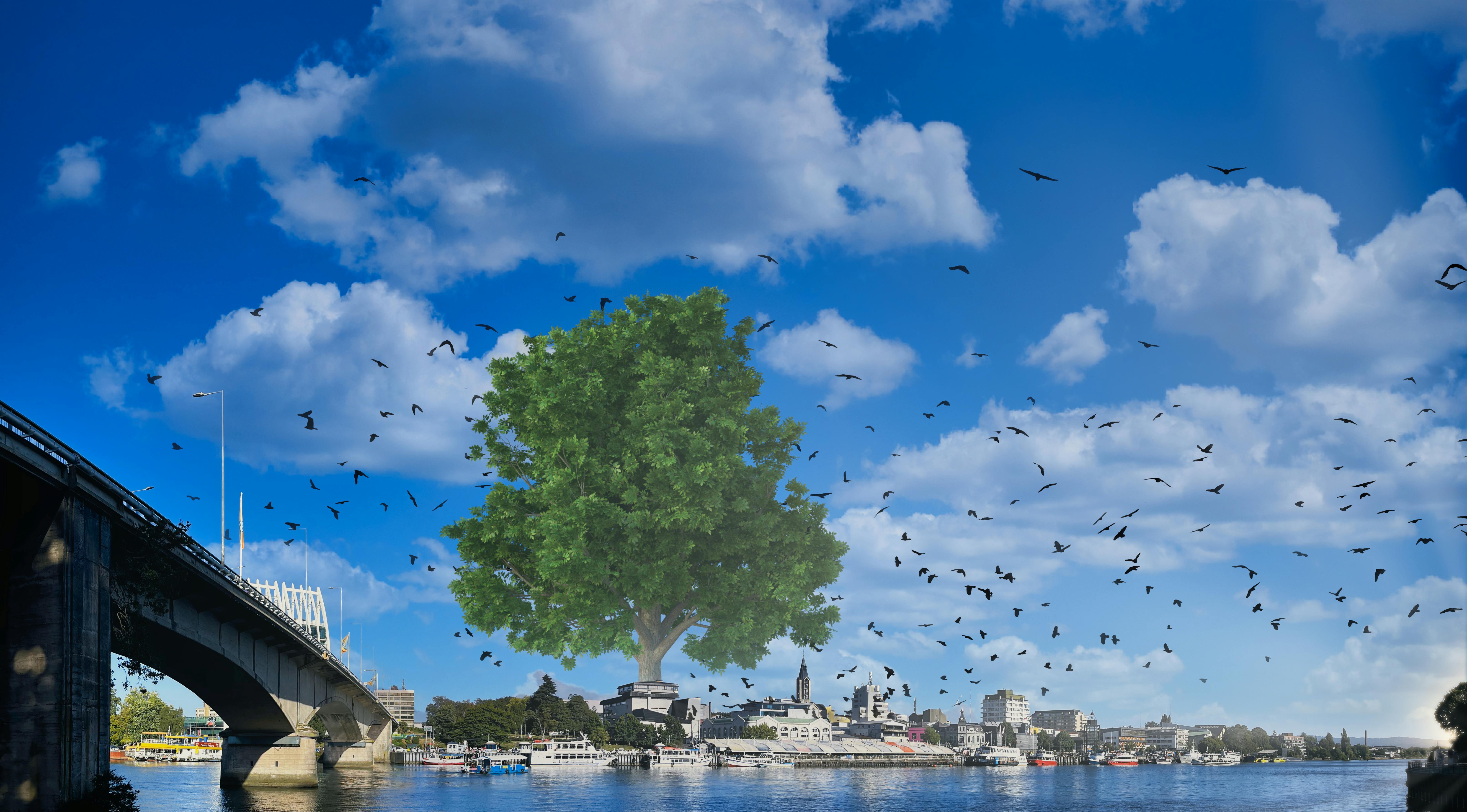 kaio Art – Fotografia