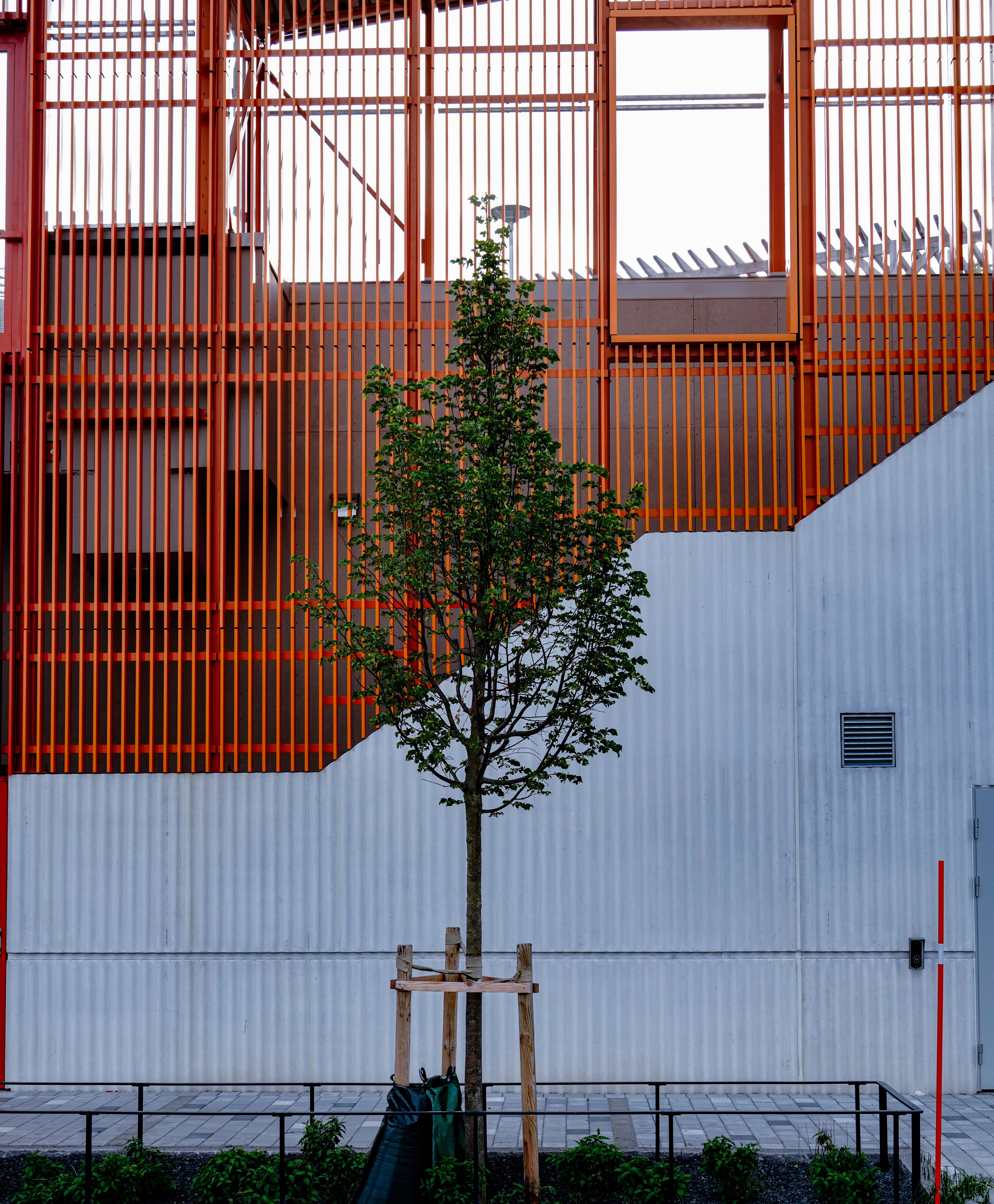 A Small Tree in front of a Steel Construction in City · Free Stock Photo