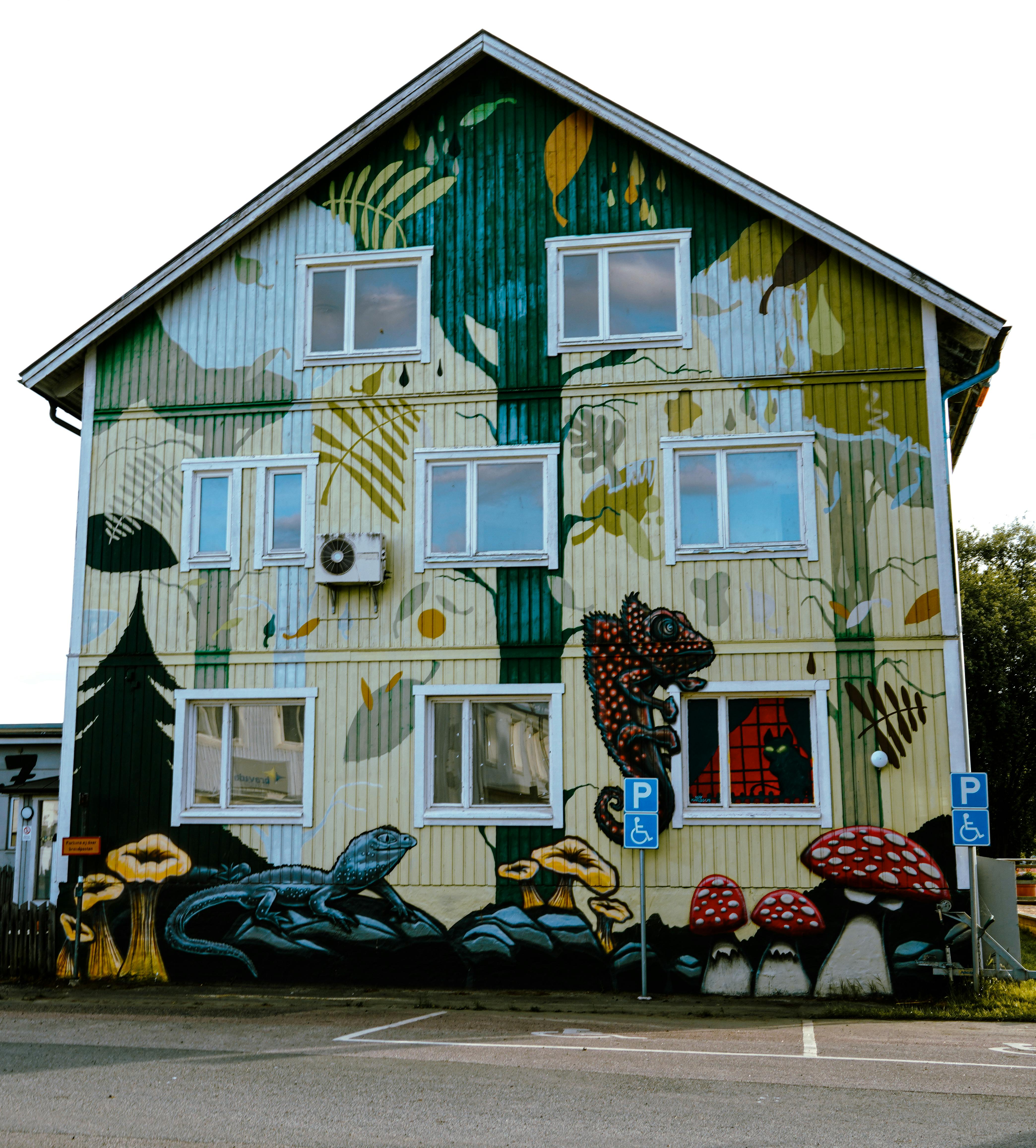 Mural on the House Wall · Free Stock Photo