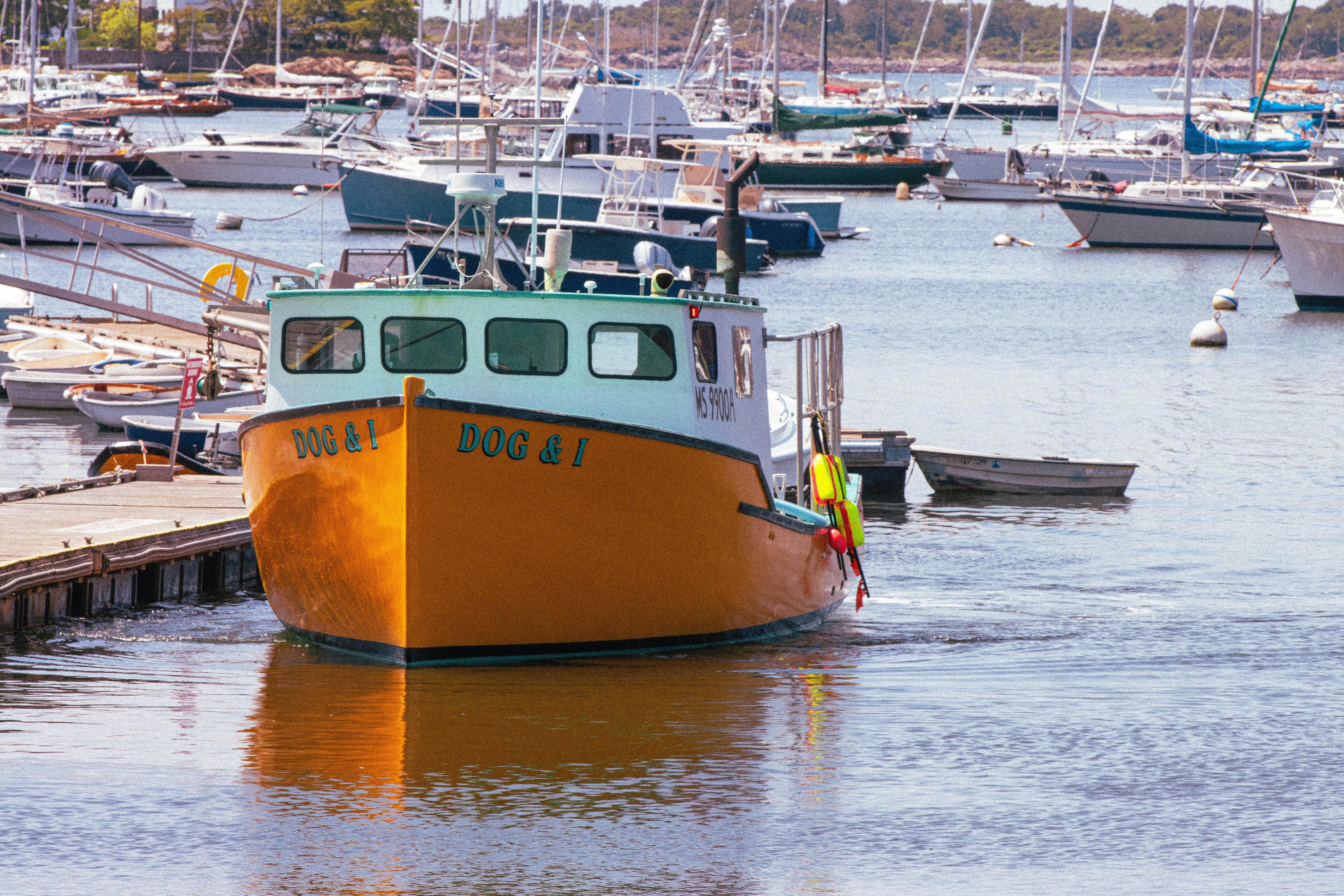 Boat Sailing on Body of Water · Free Stock Photo