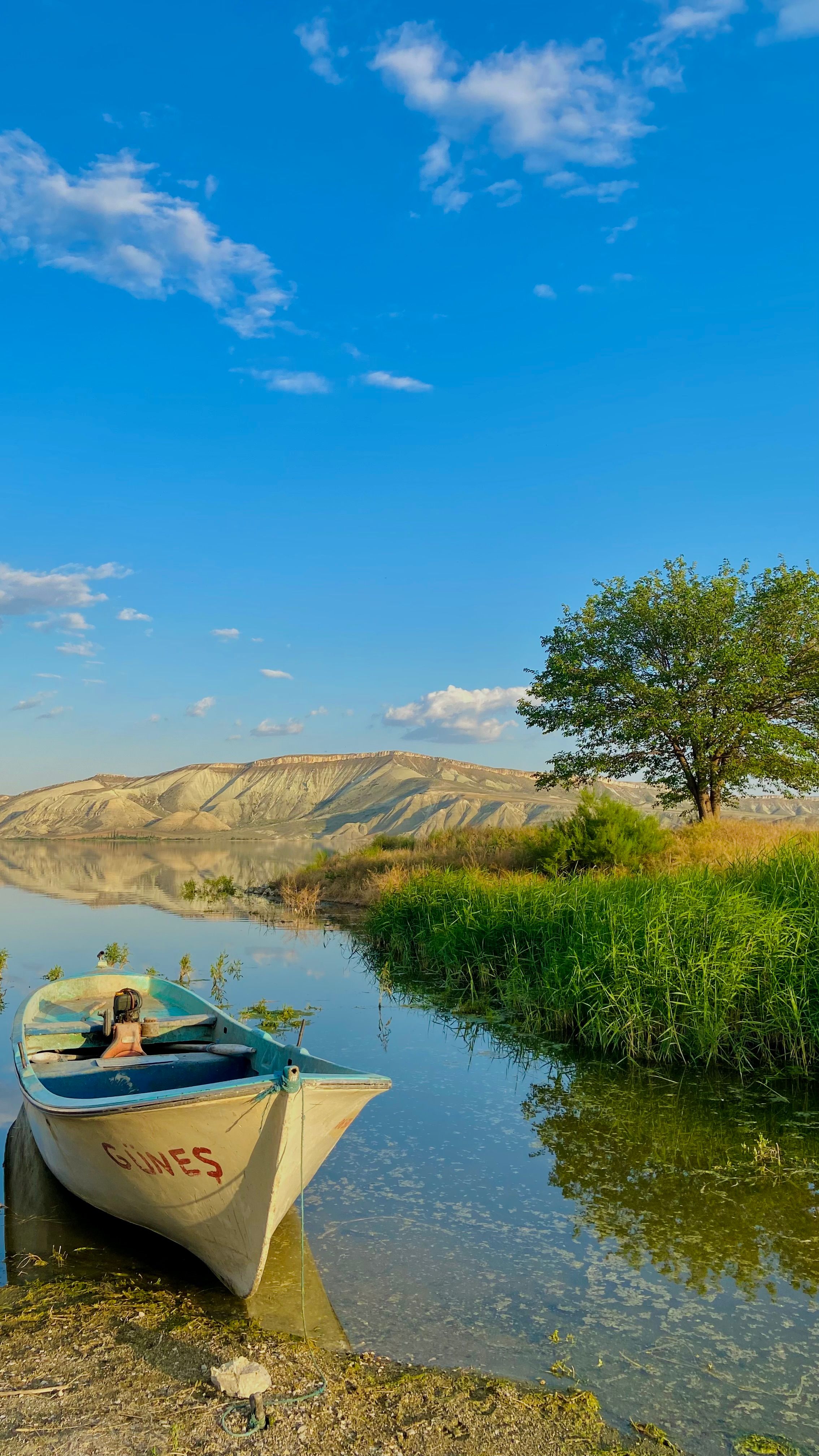 Boat near Shallow River · Free Stock Photo